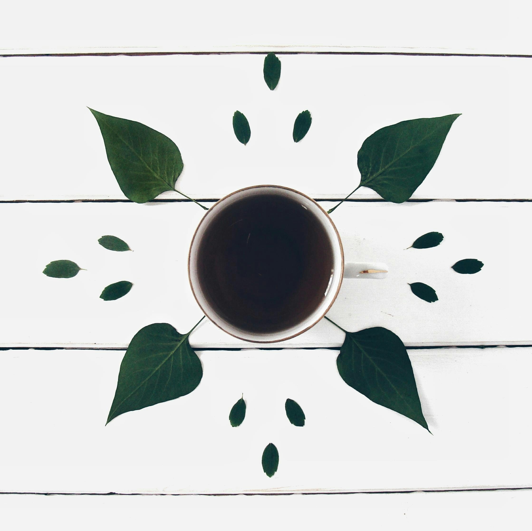 Centered Cup of Coffee with Radial Greenery Accent on White Planks