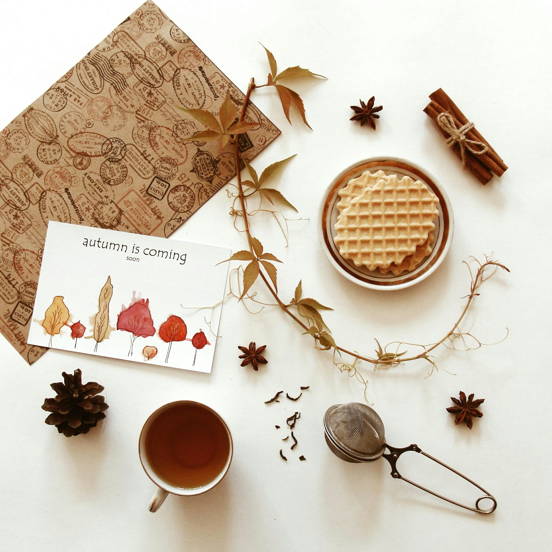 Autumn Tea and Treats: A Cozy Studio Still Life