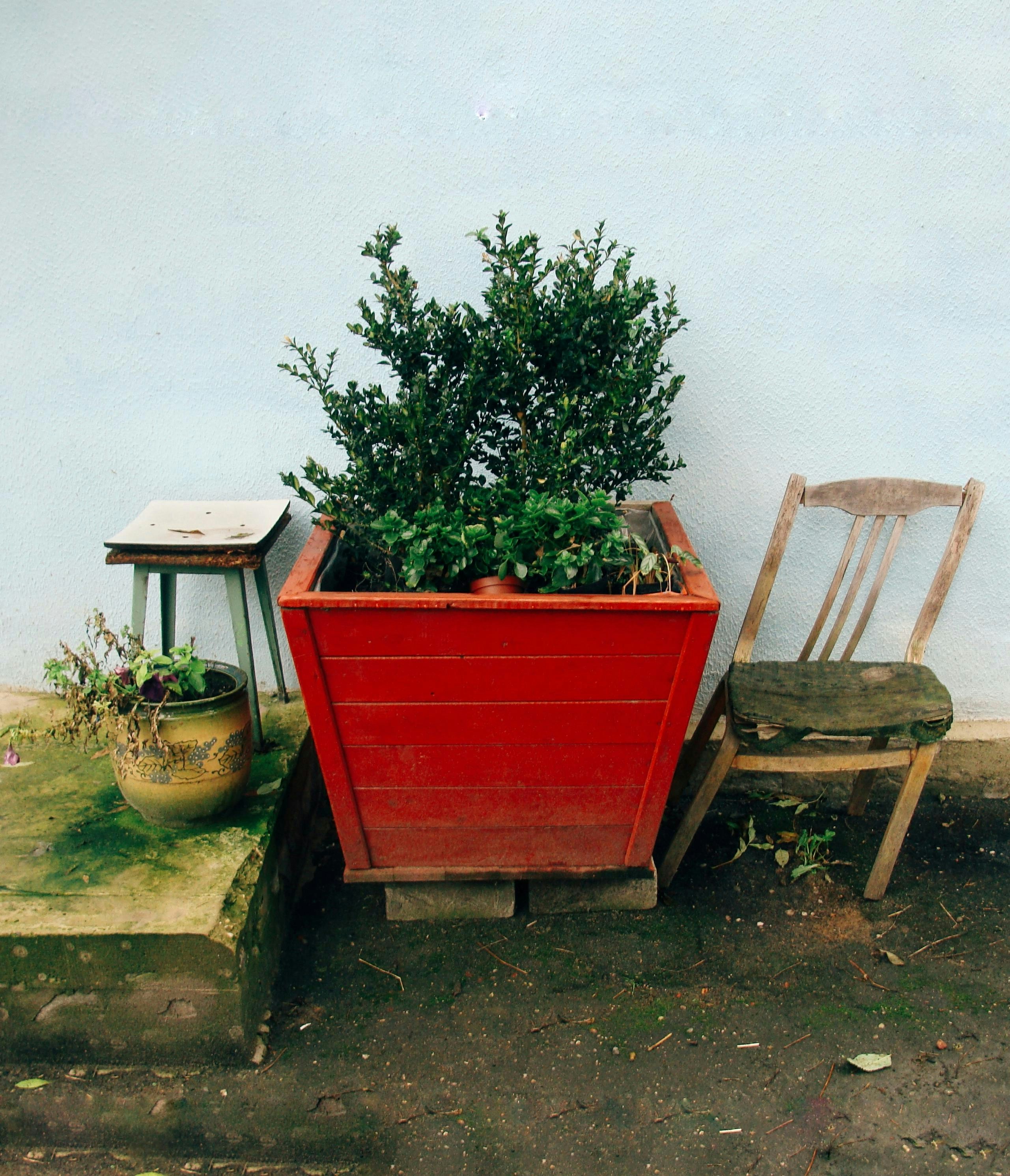 Red planter and weathered chair anchor a quiet courtyard scene