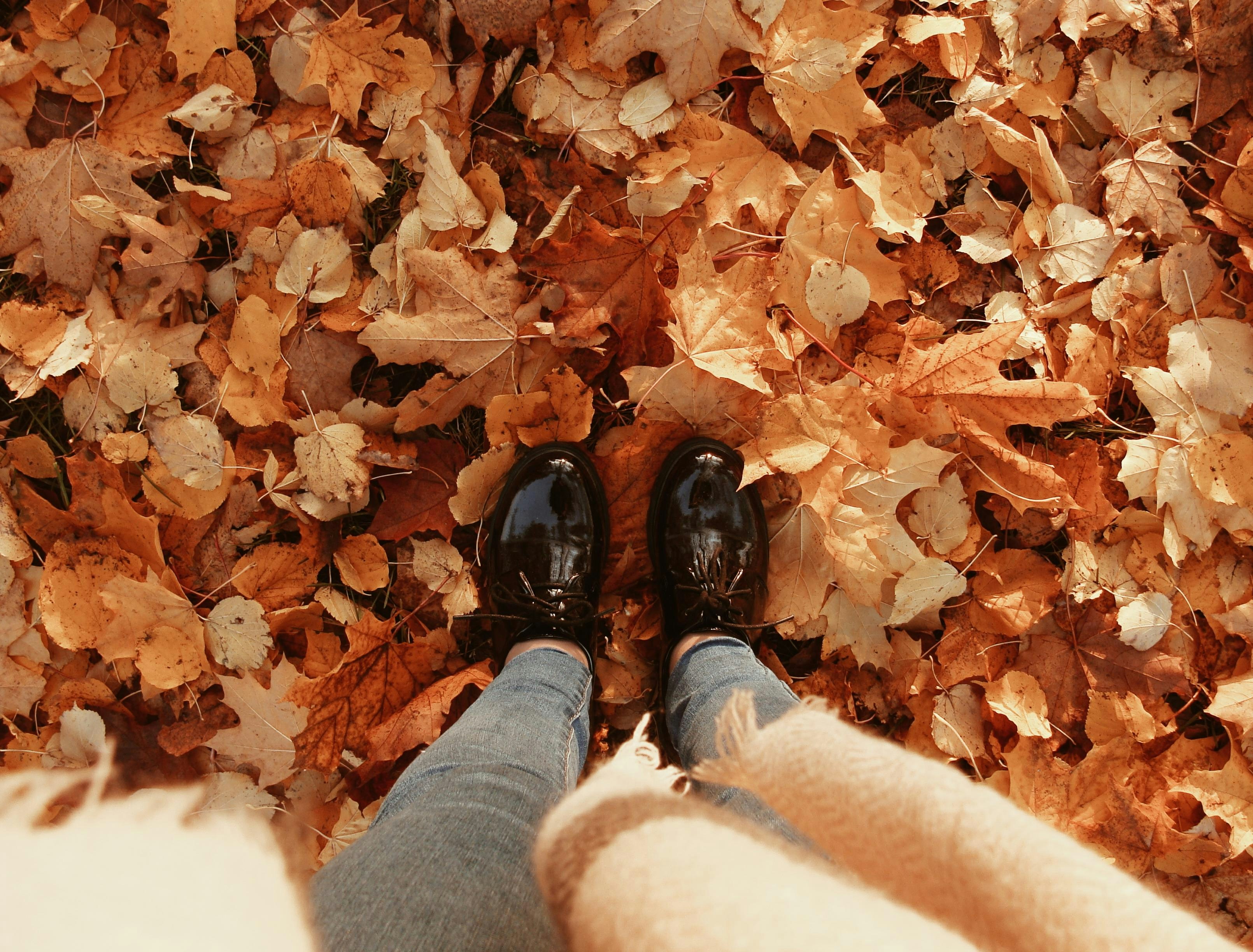Autumn Steps: Pair of Shiny Boots Amid Fallen Leaves