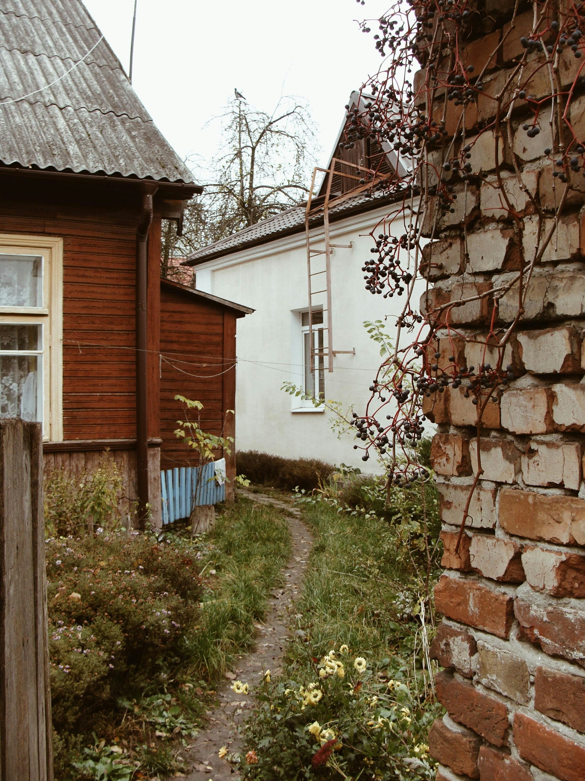 A Narrow Path Between Weathered Homes