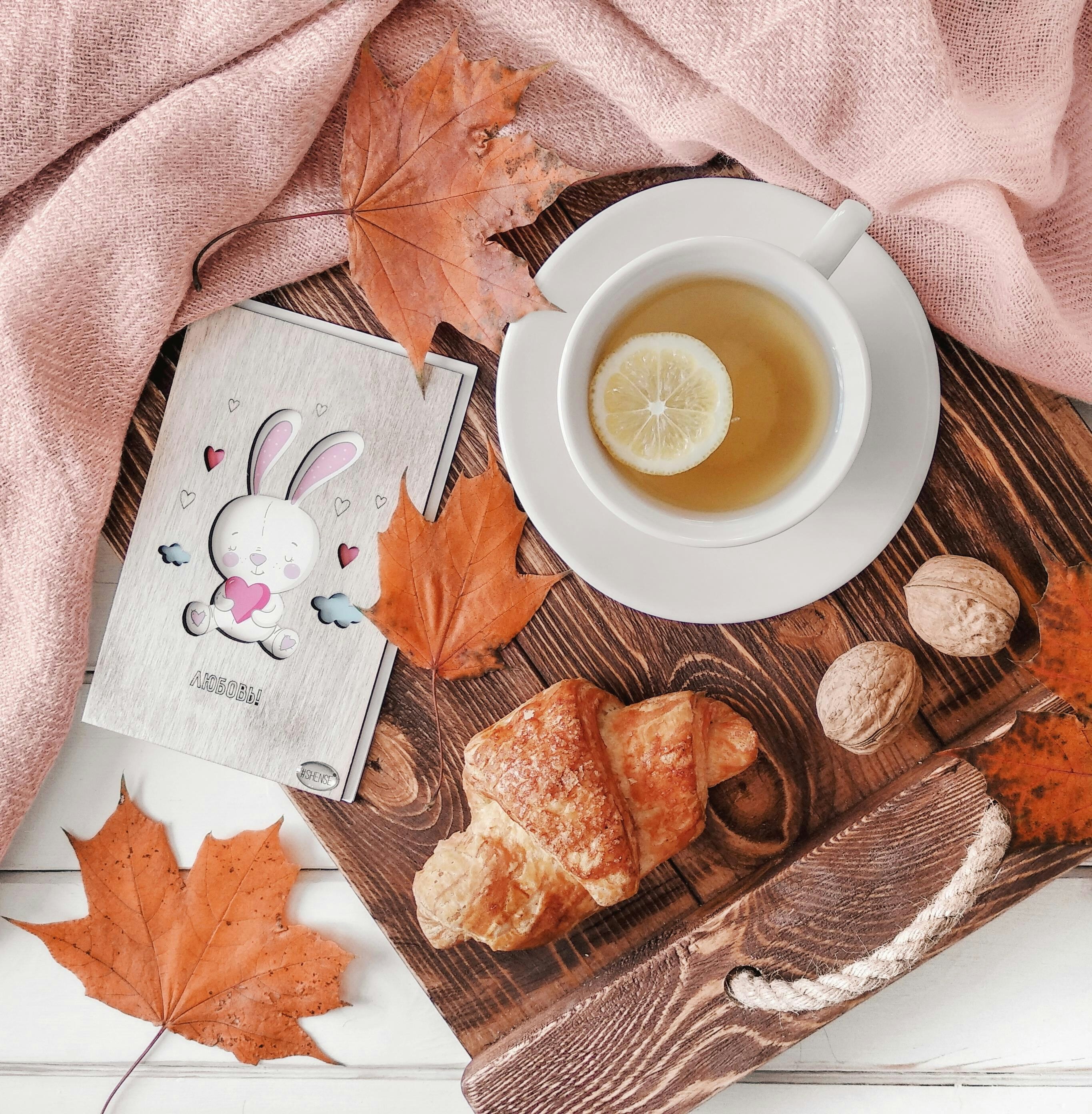 Autumn Pause: Tea, Leaves, and a Cozy Sketchbook Moment