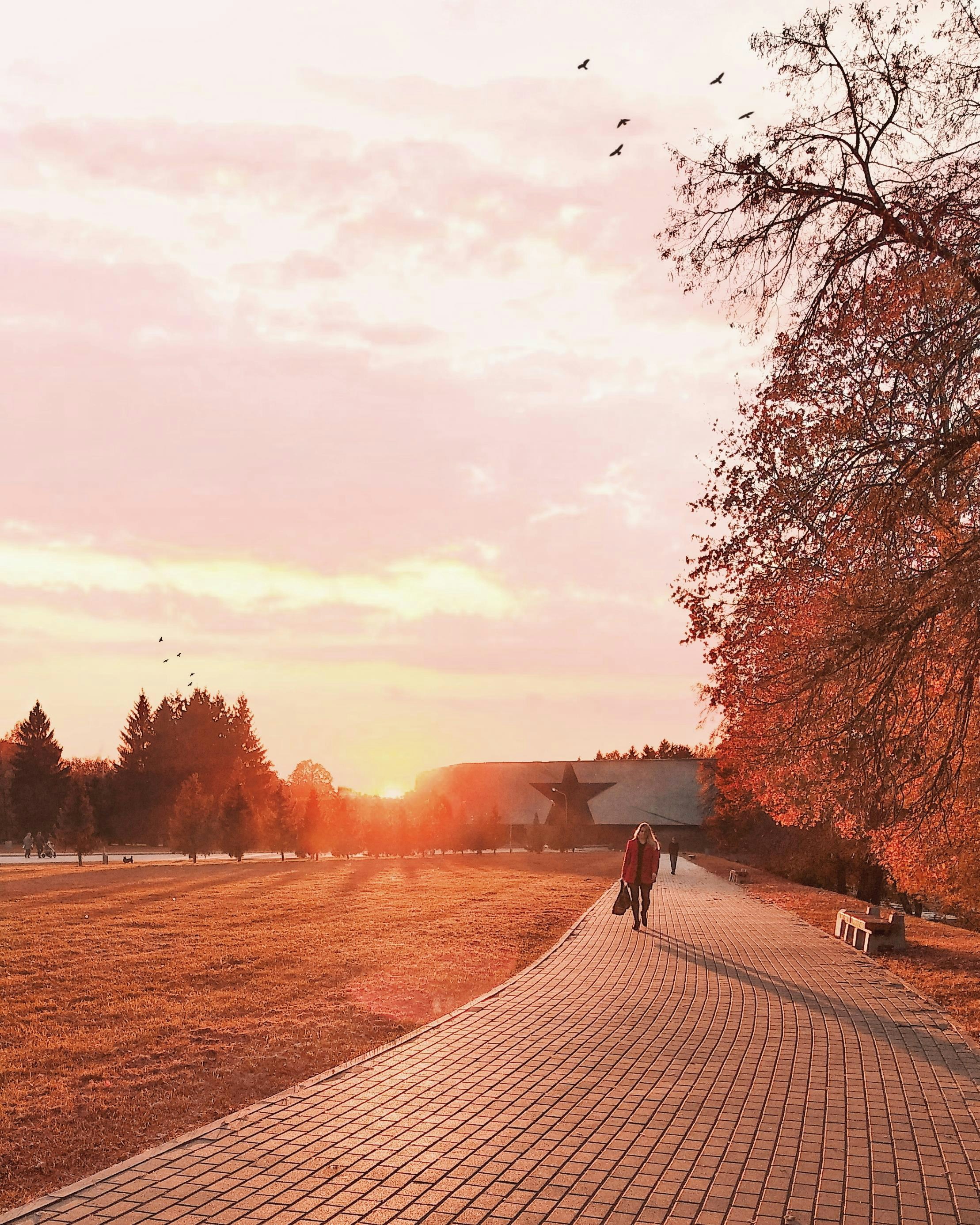 Sunlit Riverside Promenade at Dusk
