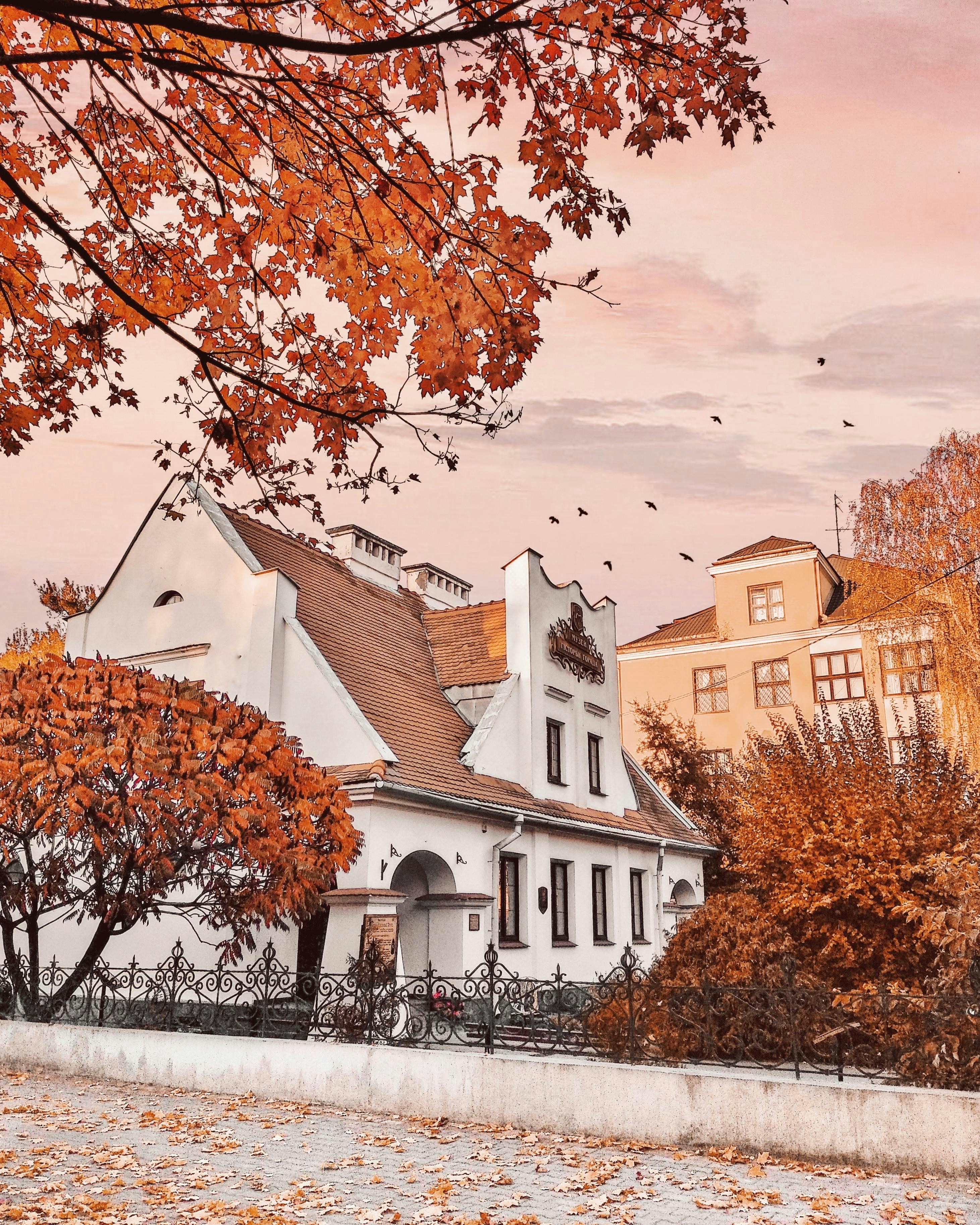 Brest autumn sunset old house street orange trees