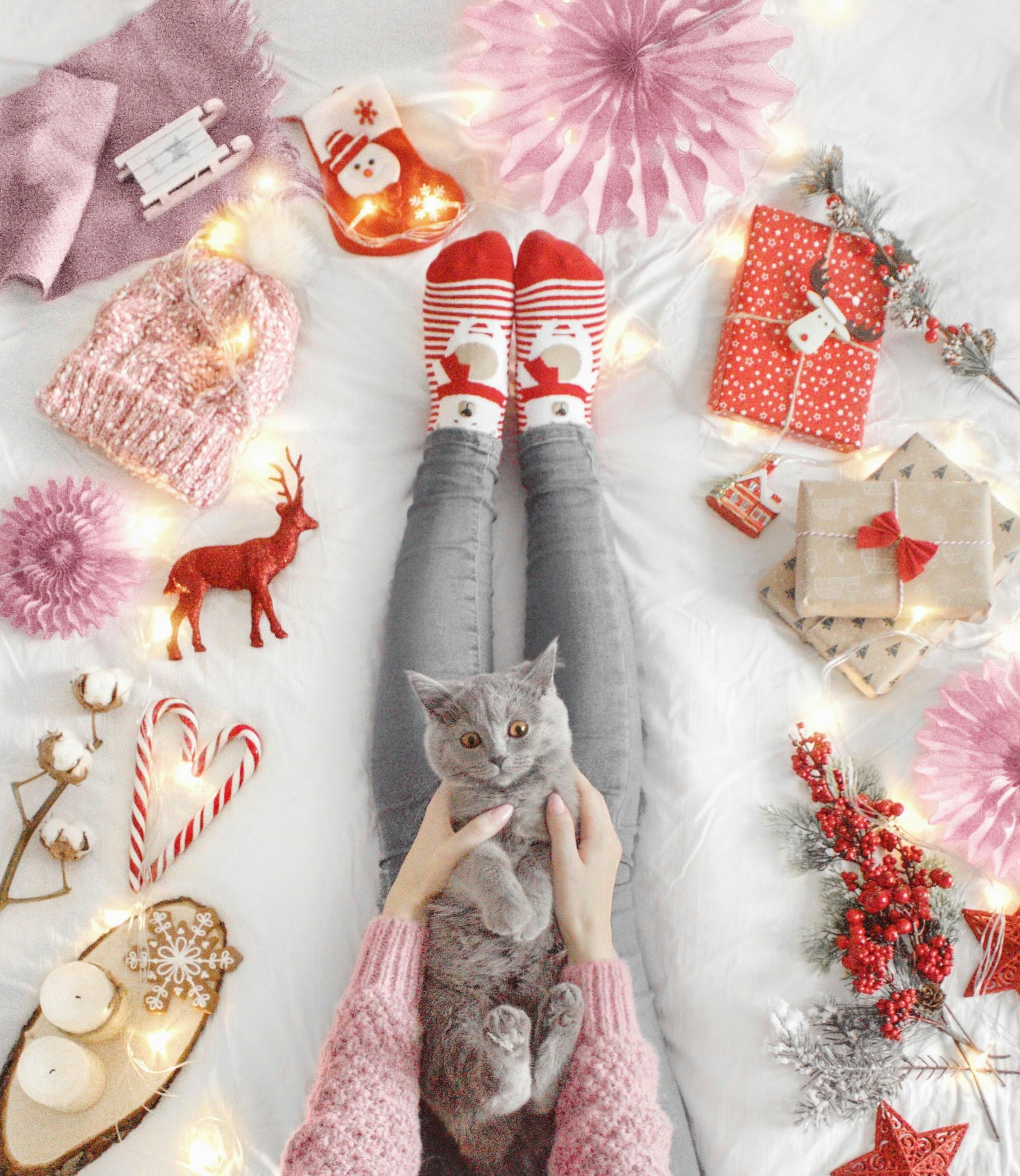 Cozy Christmas Kitten: A Lounging Moment Amid Festive Whimsy