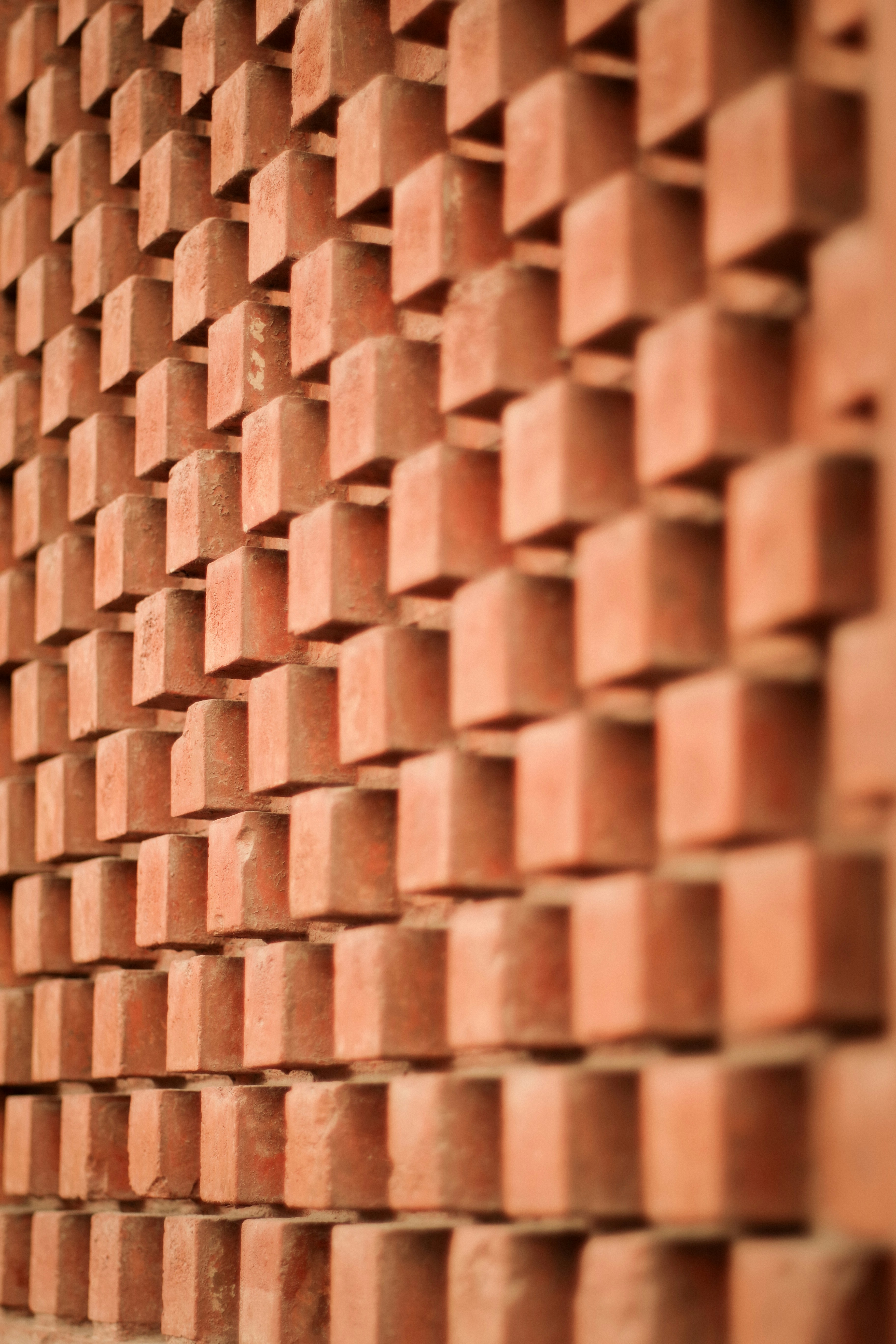 Photo by olga safronova with Pentax K-S2