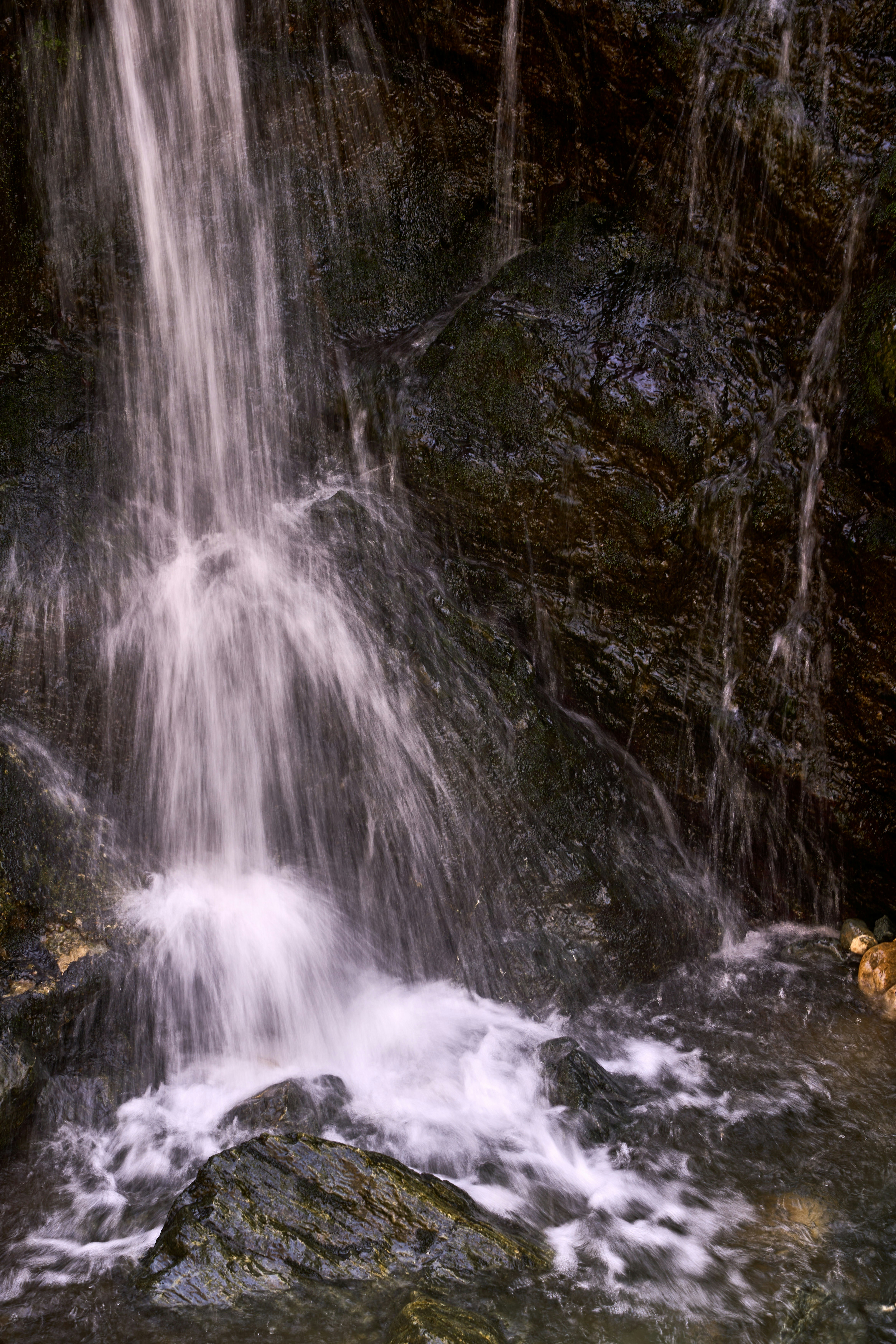 Photo by Wolfgang Hasselmann with Sony Alpha 7 IV