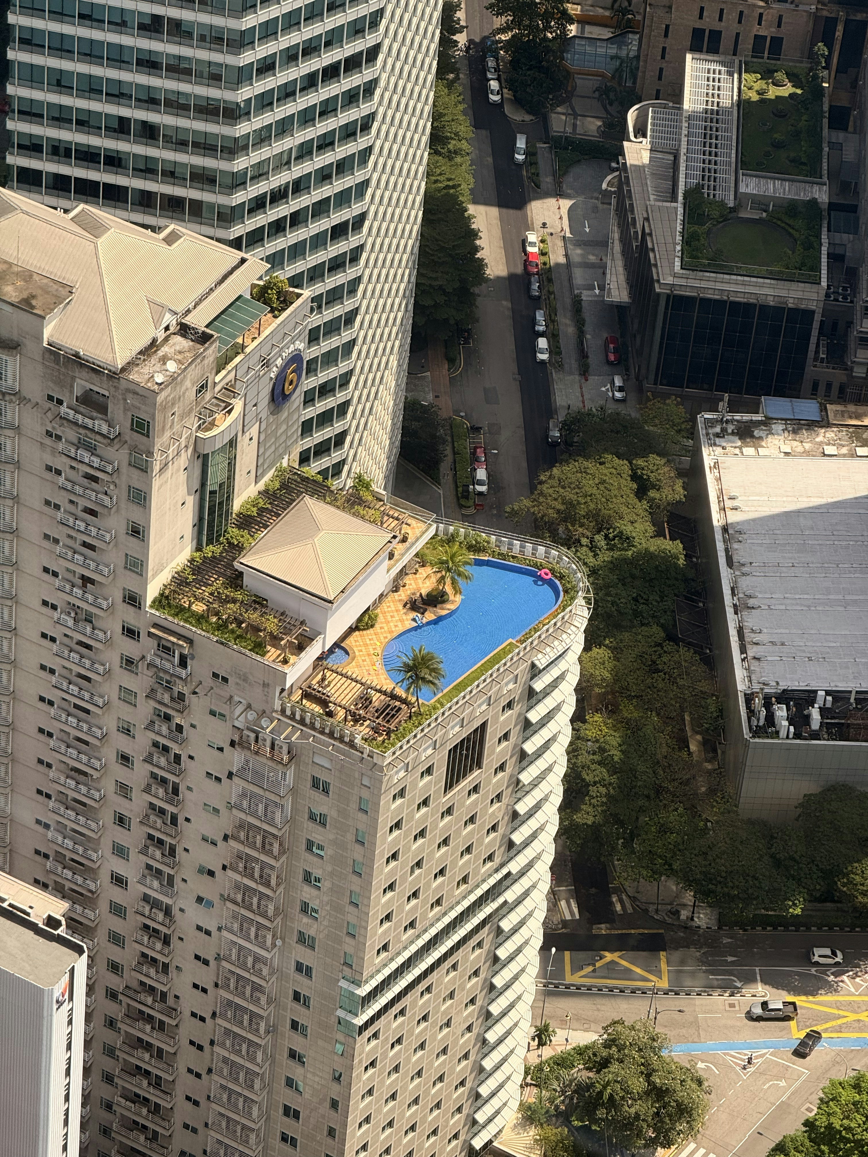 Rooftop Oasis Above the City Spine