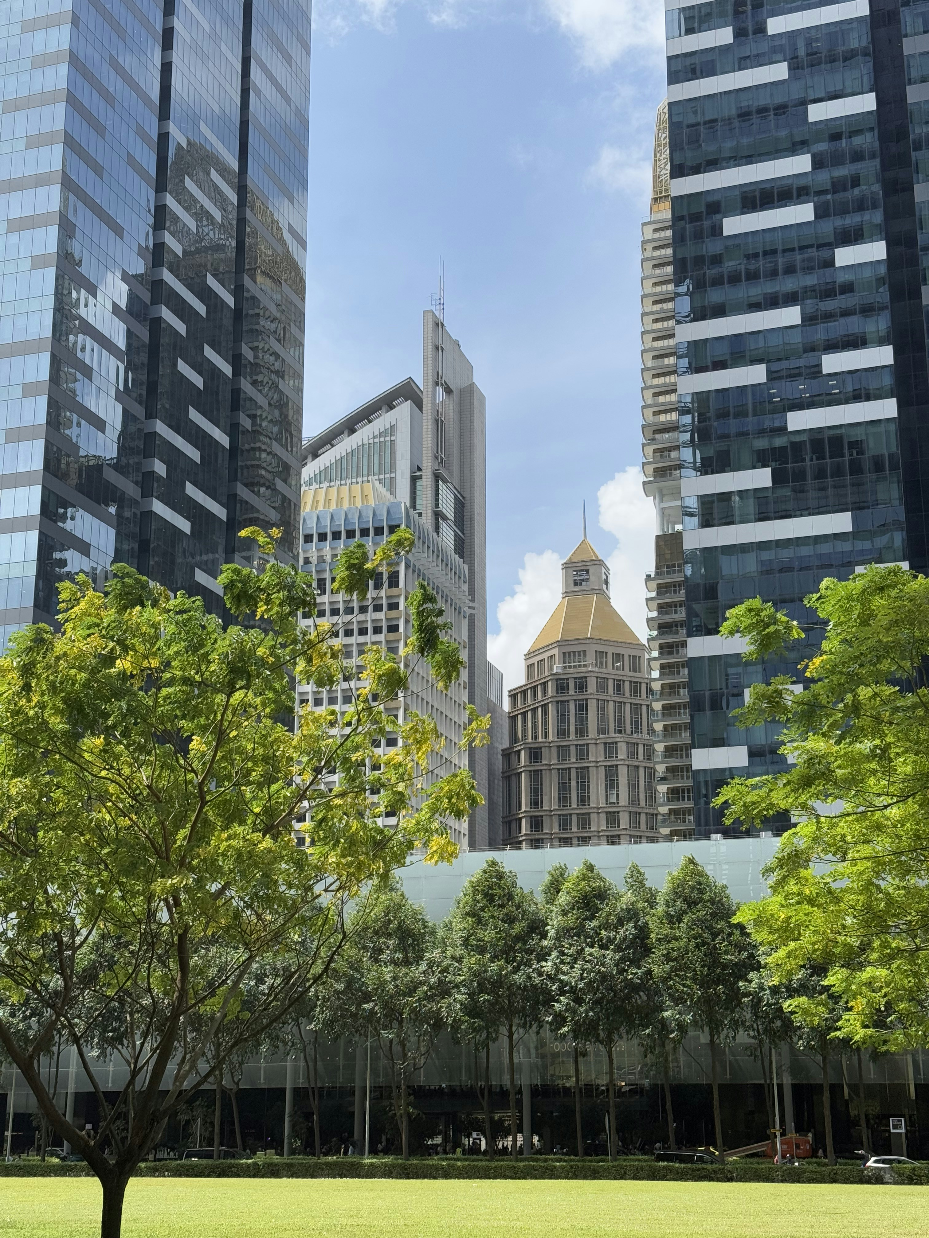 Skyline Gap: A Green Corridor Framed by Towering Glass