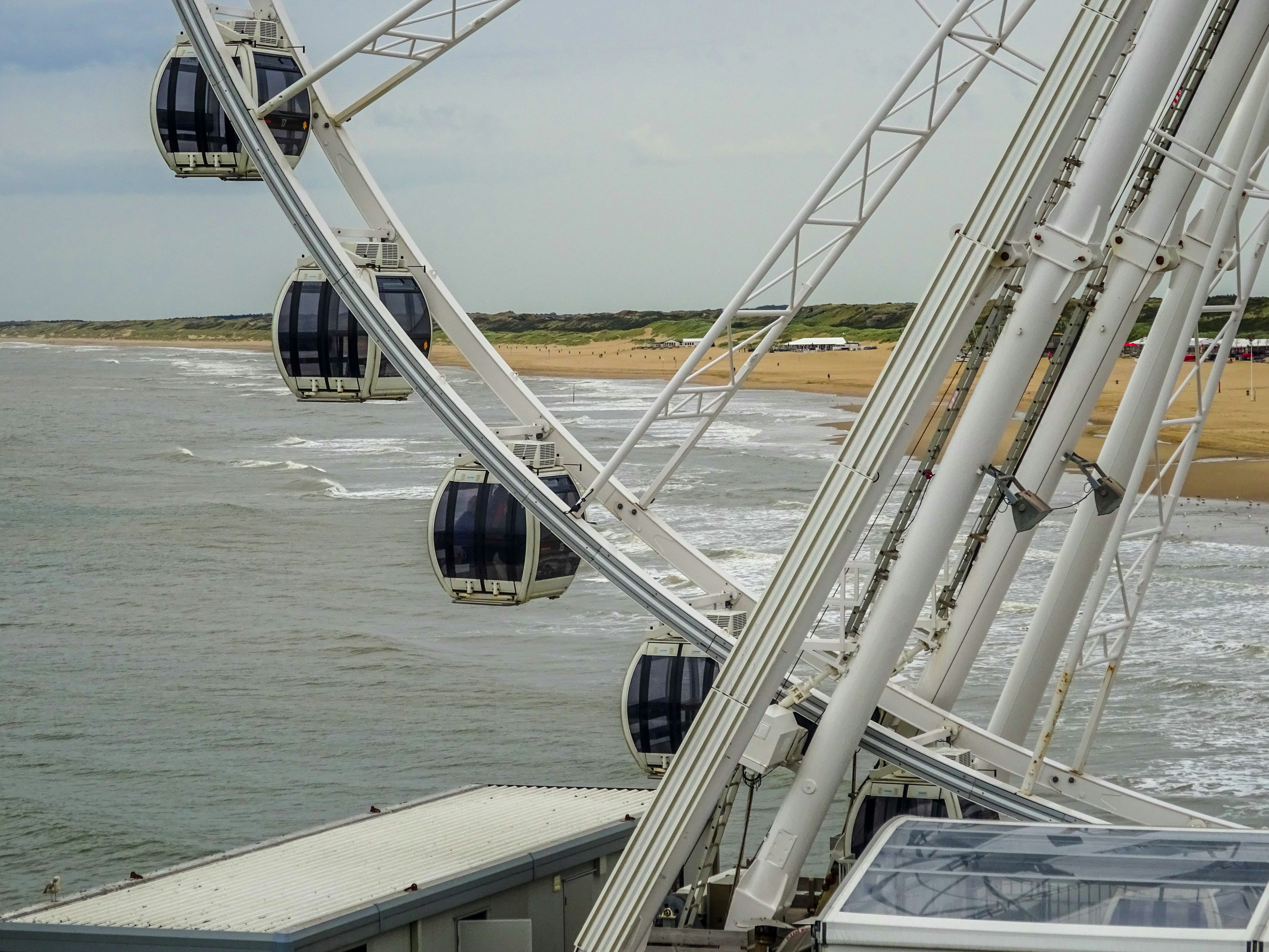 Giant Ferris Wheel Overlooking a Calm Seaside Landscape