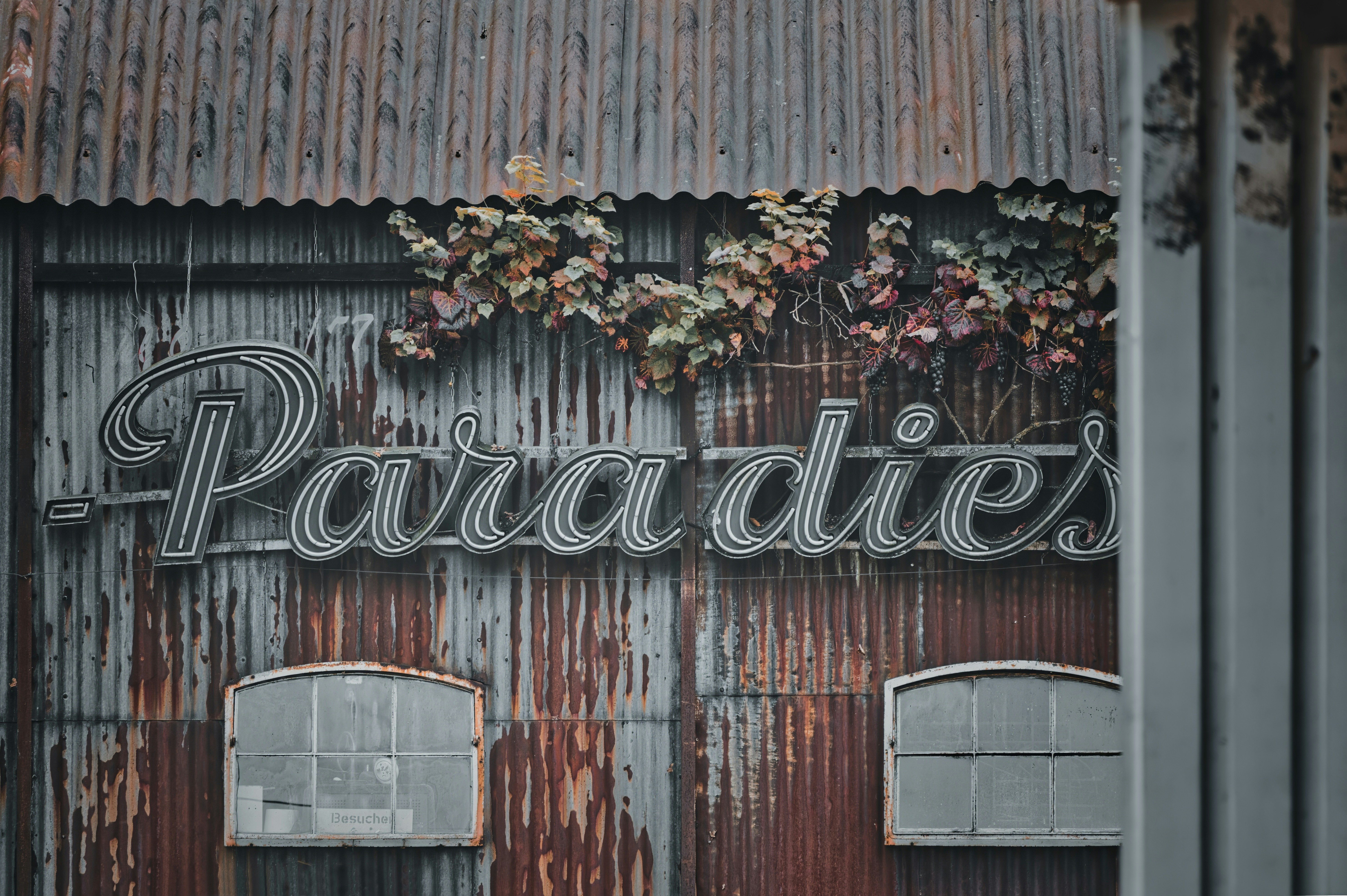 Paradise Neon Fades on Corrugated Wall