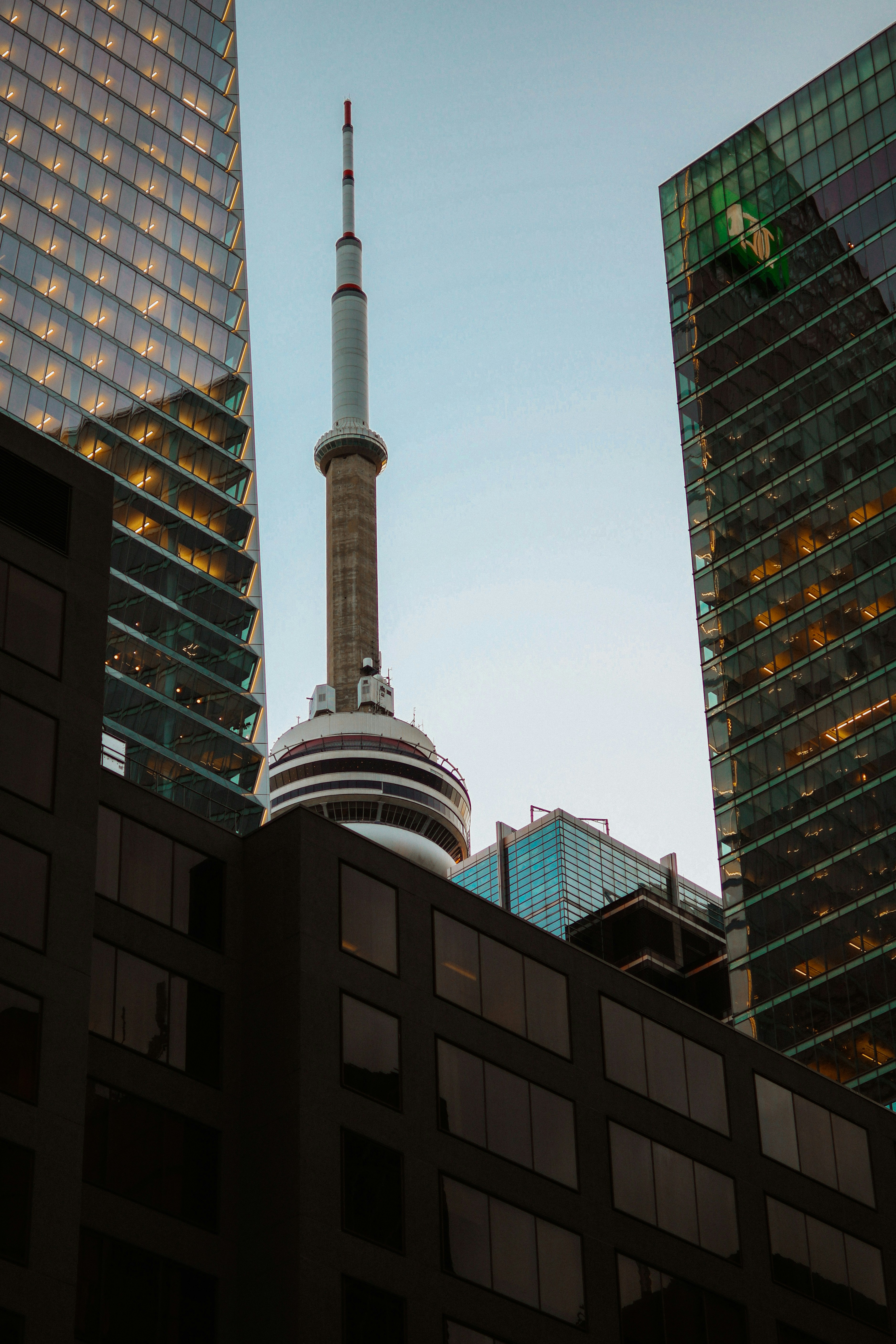 Urban Skyline Framed by Glass Giants and a Spire
