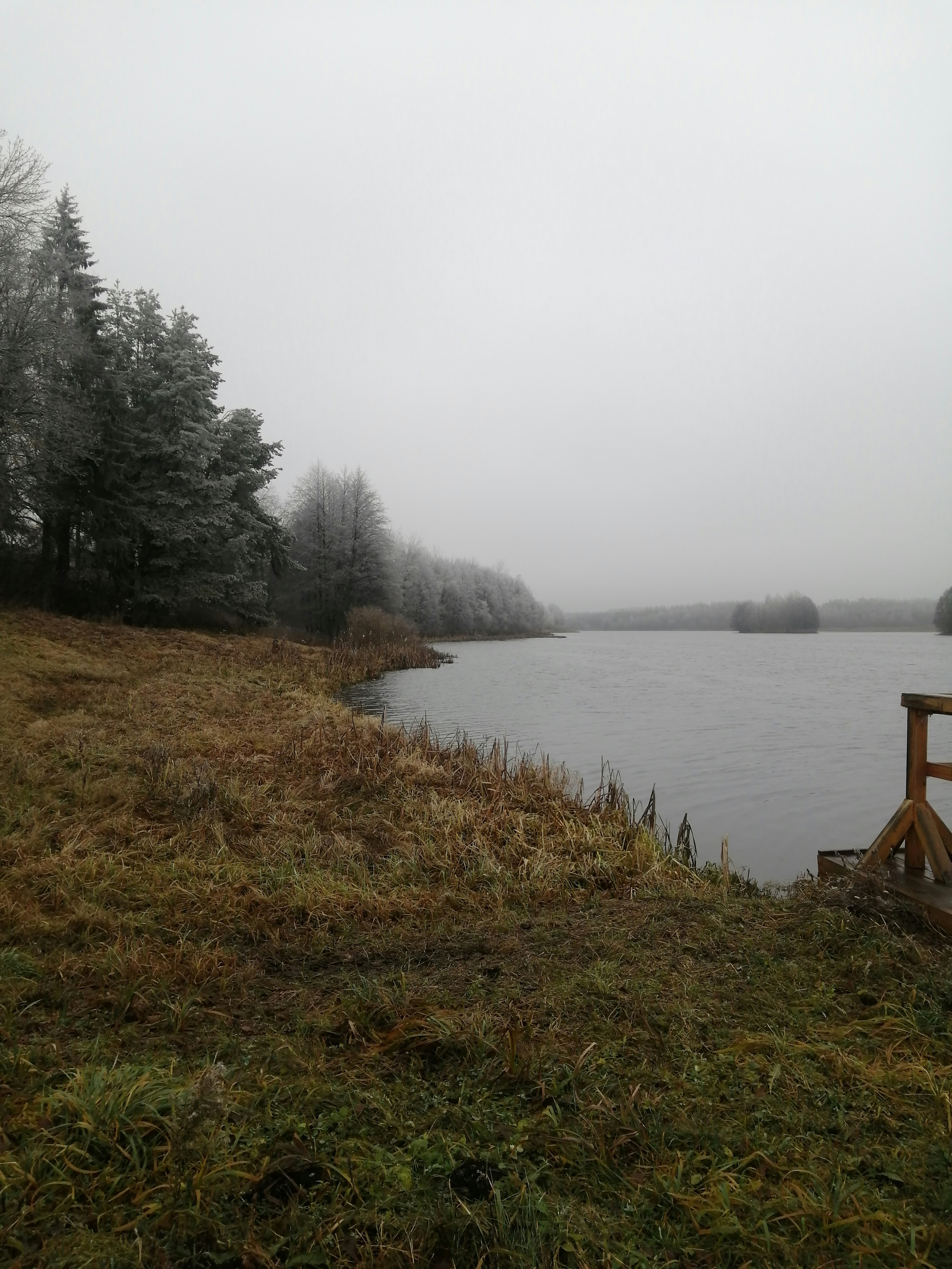 Misty lakebank at dawn with frost-coated trees