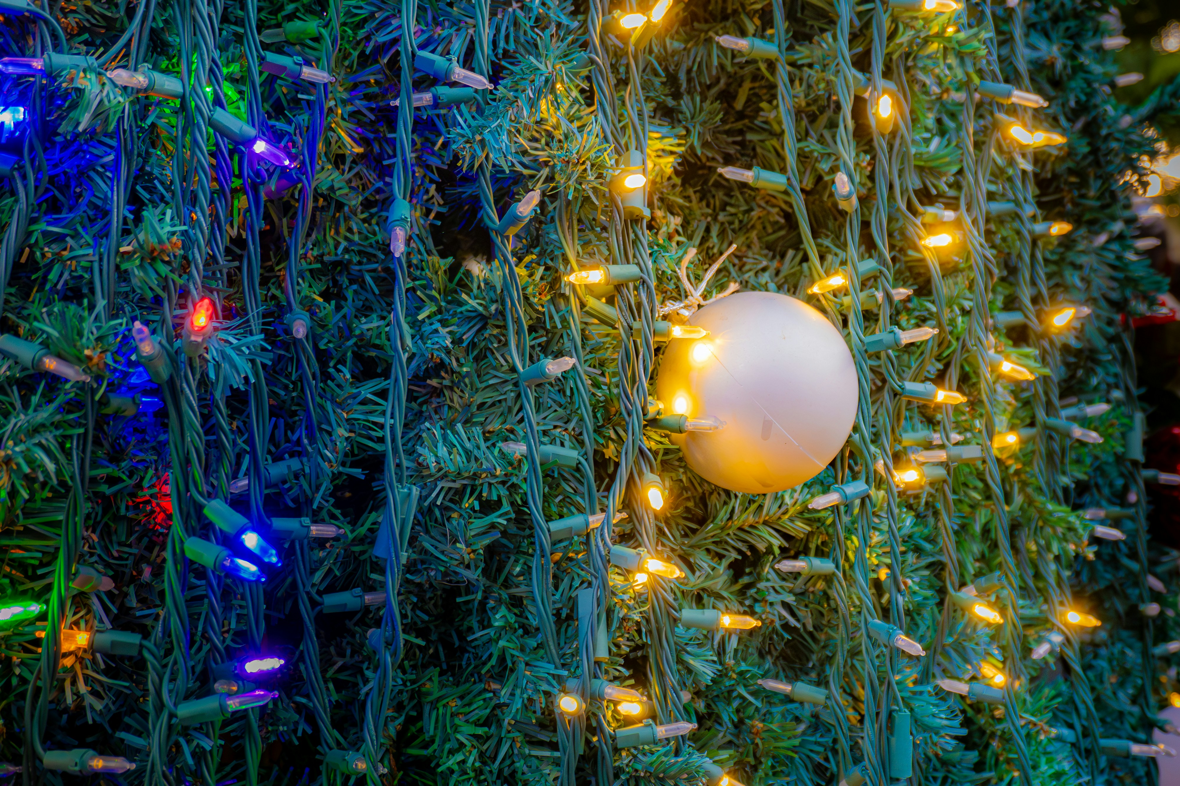 Glow under the Foliage: A String of Lights Embracing a Shiny Ornament