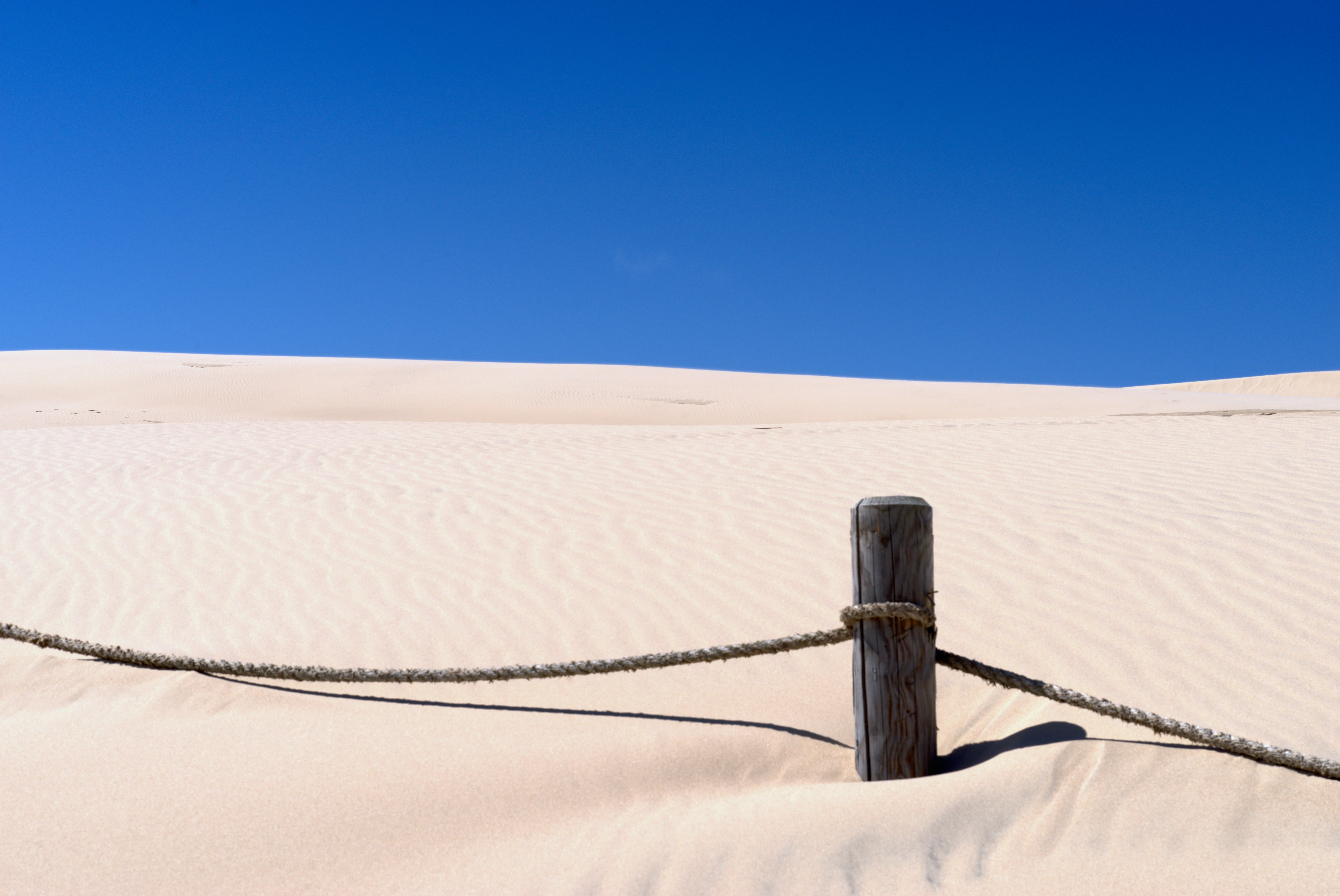 Desert String: A Lone Post Anchoring the Dune Sea