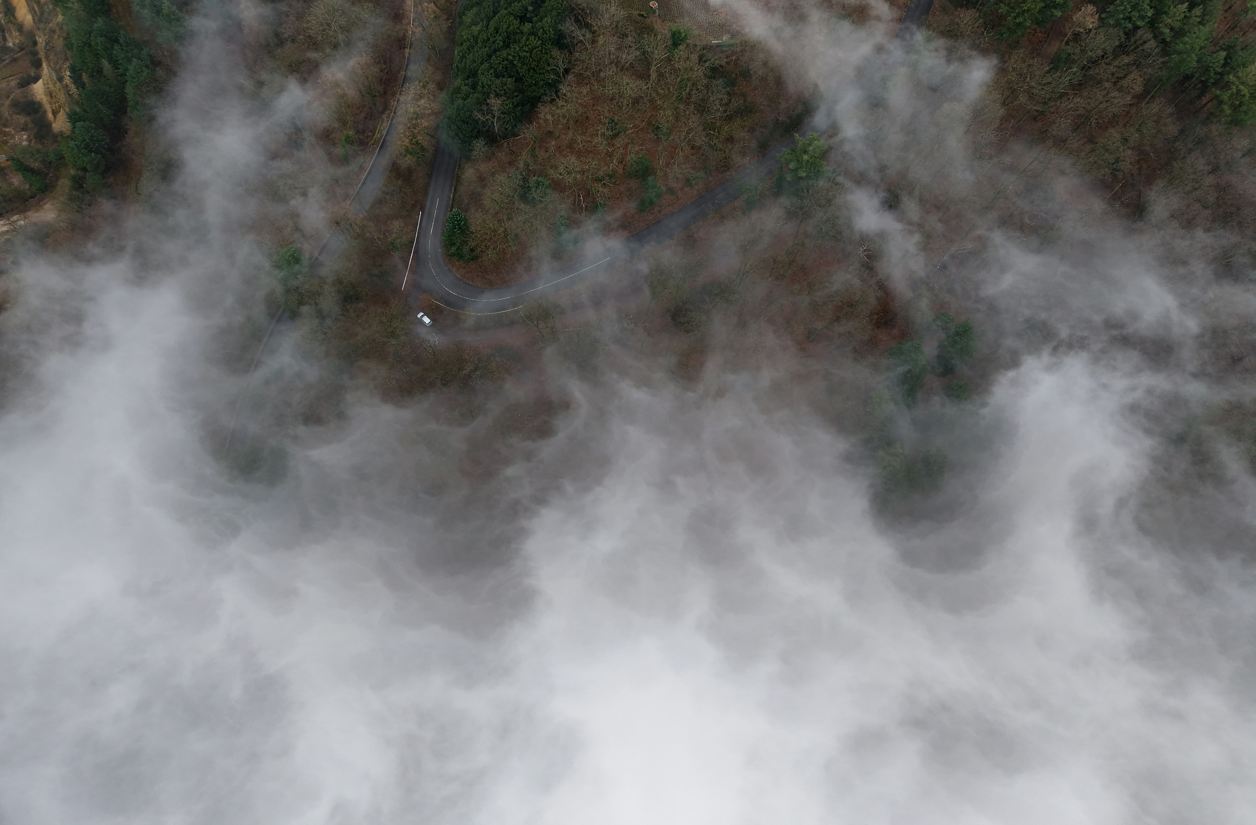 Mist-Clad Switchback: Aerial Ascent through Fog-Cloaked Pines