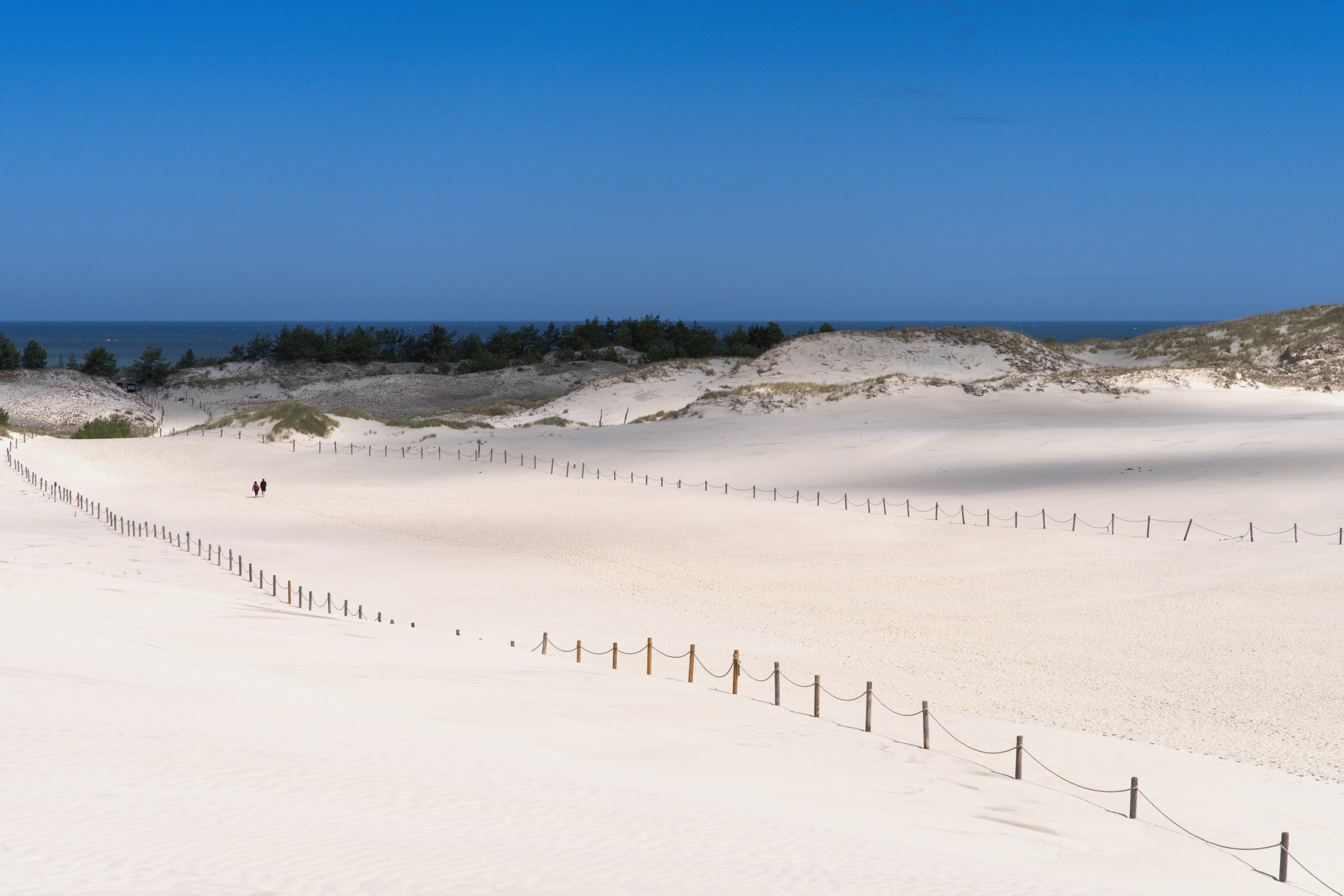 Mist over Dune Path: A Quiet Walk to the Sea