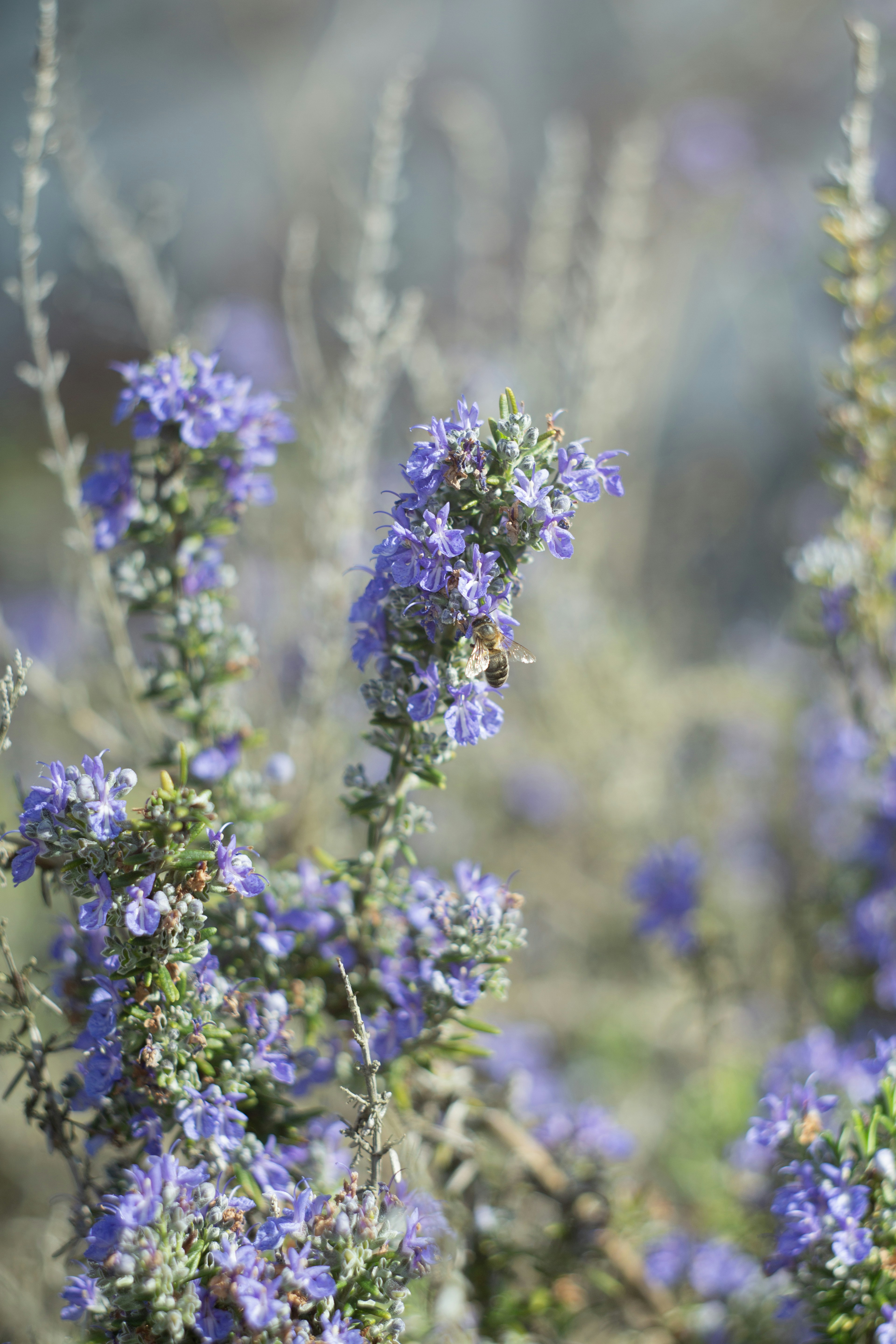 Photo by Marina Nazina with Canon EOS 5D Mark III