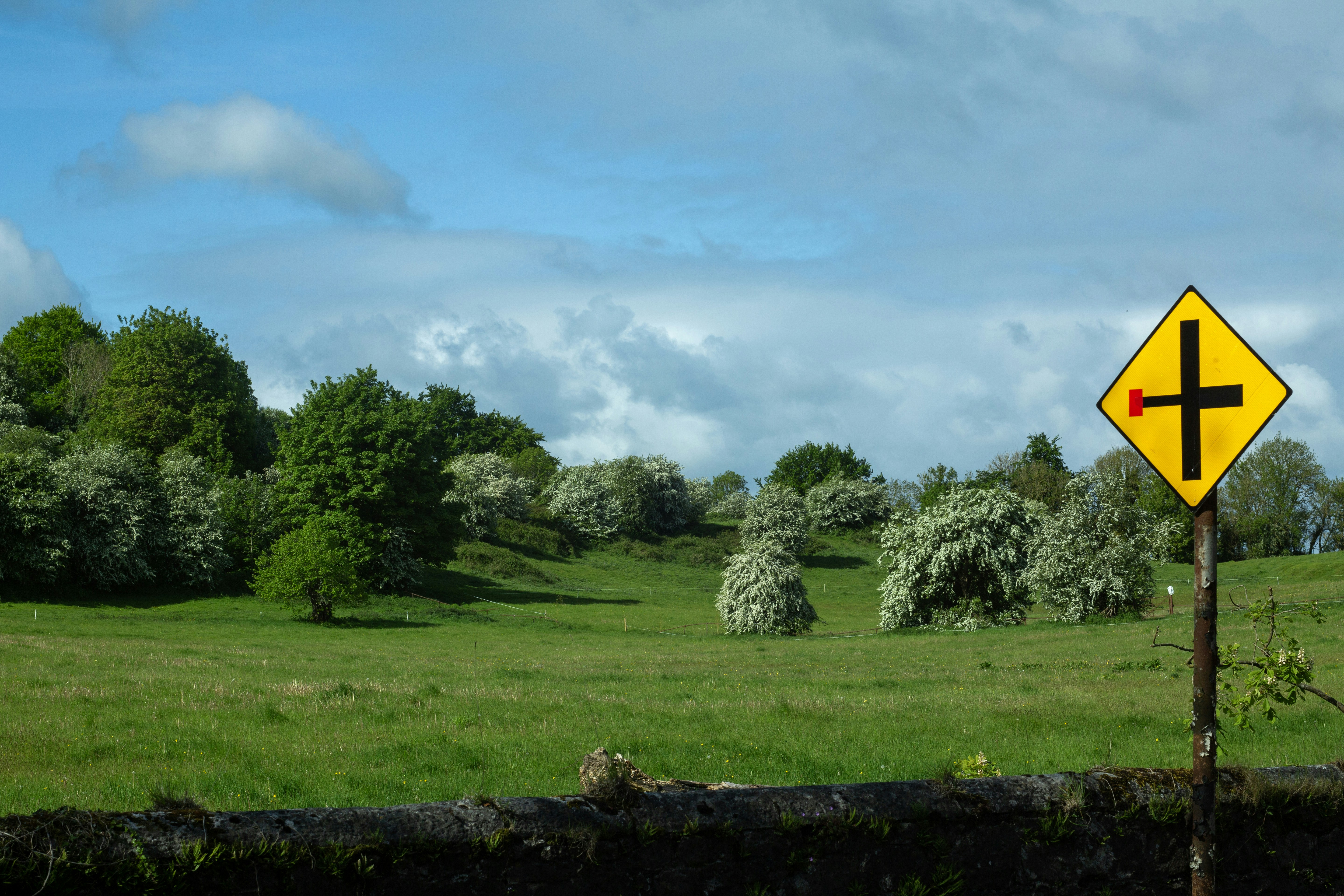 Crossing Sign over Rolling Meadow