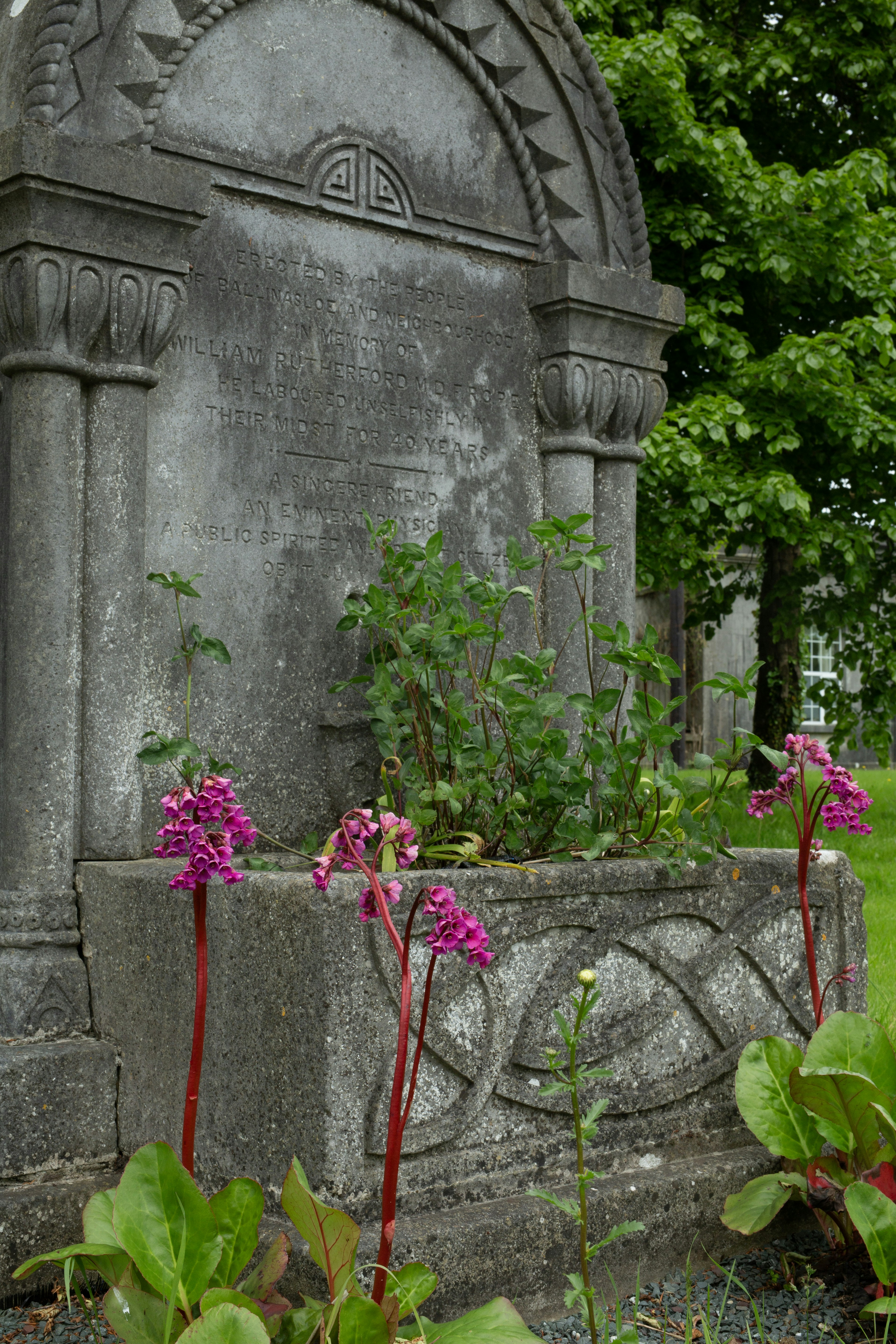 Photo by Marina Nazina with Canon EOS 5D Mark III