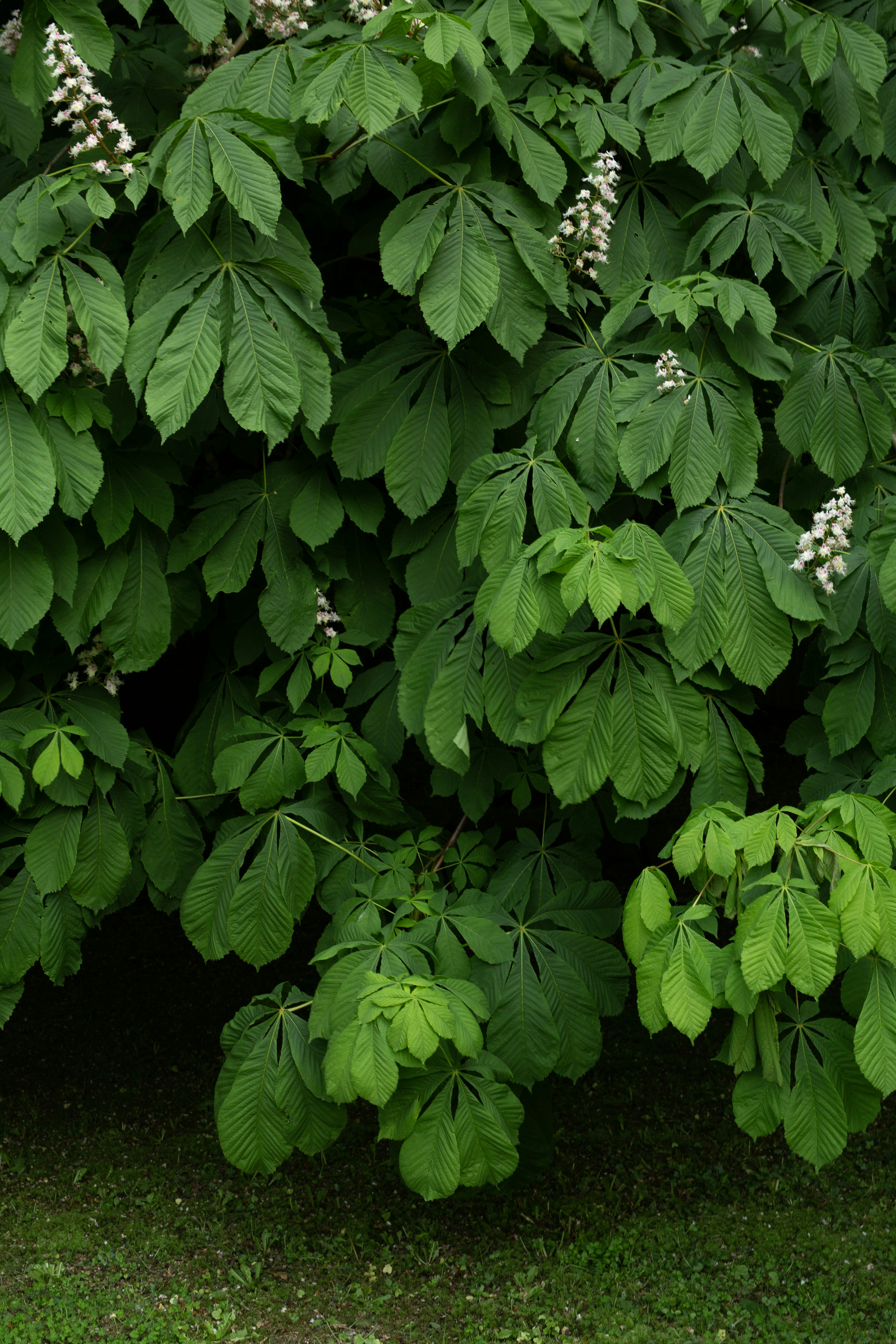 Photo by Marina Nazina with Canon EOS 5D Mark III