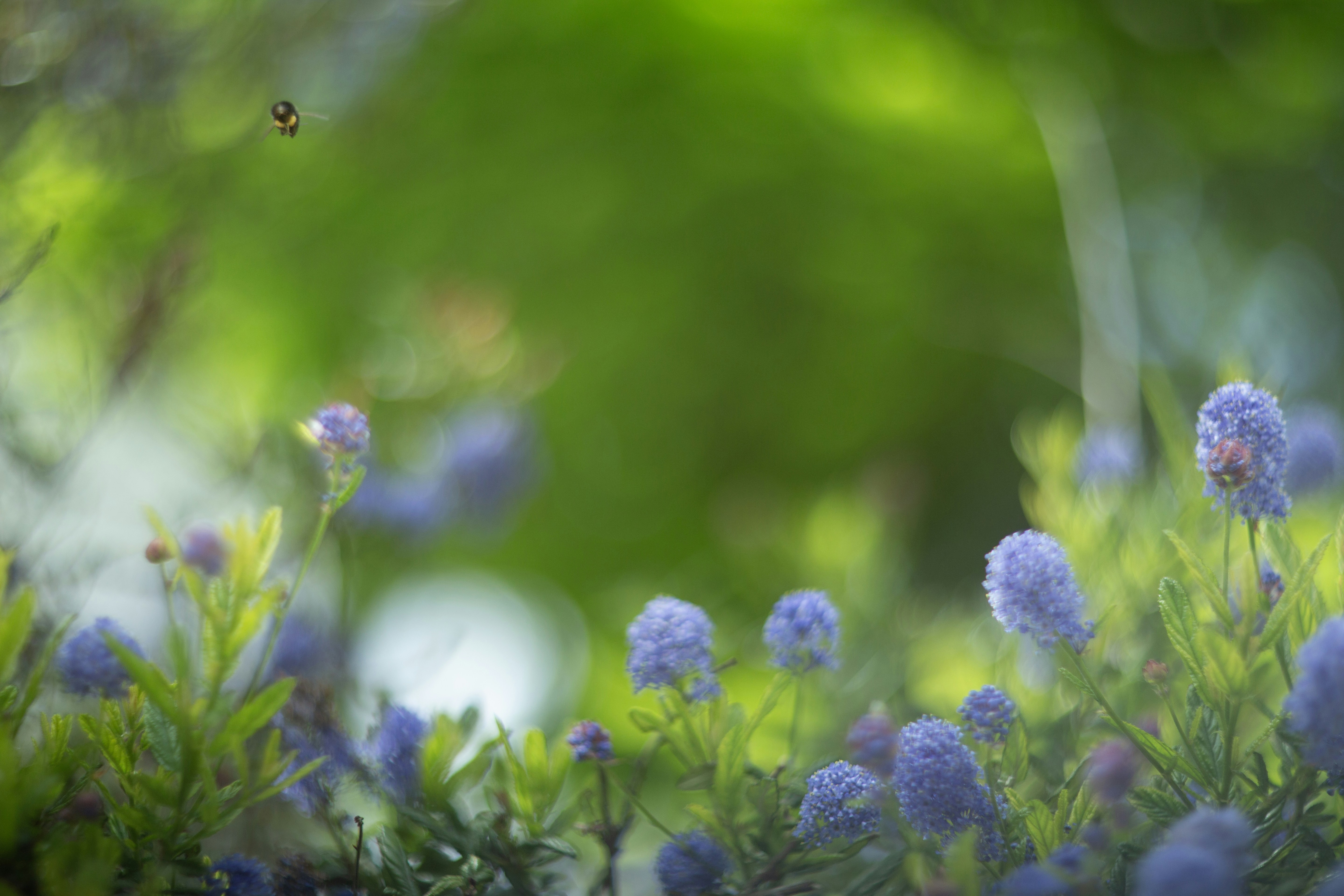 Photo by Marina Nazina with Canon EOS 5D Mark III