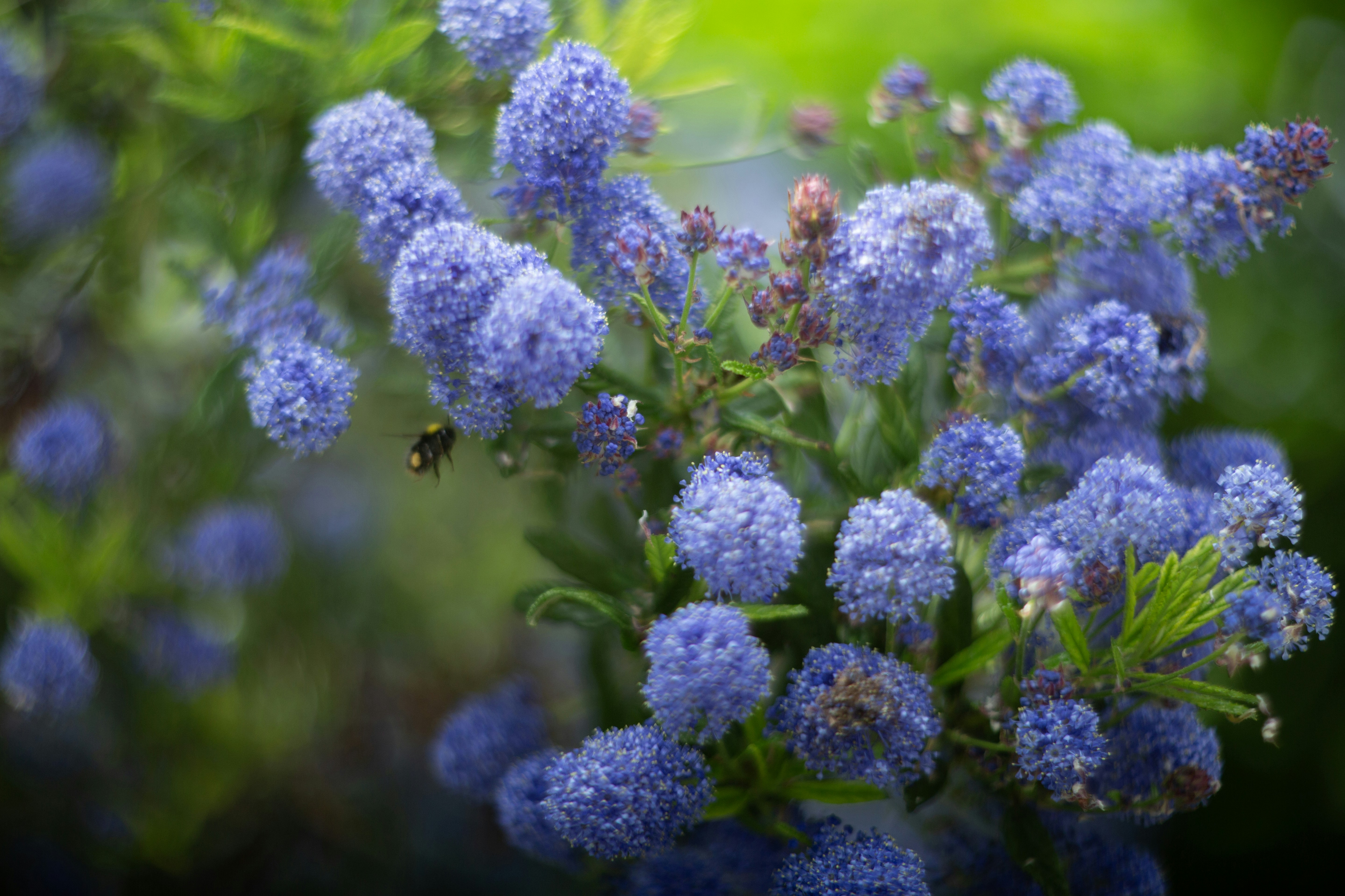 Photo by Marina Nazina with Canon EOS 5D Mark III