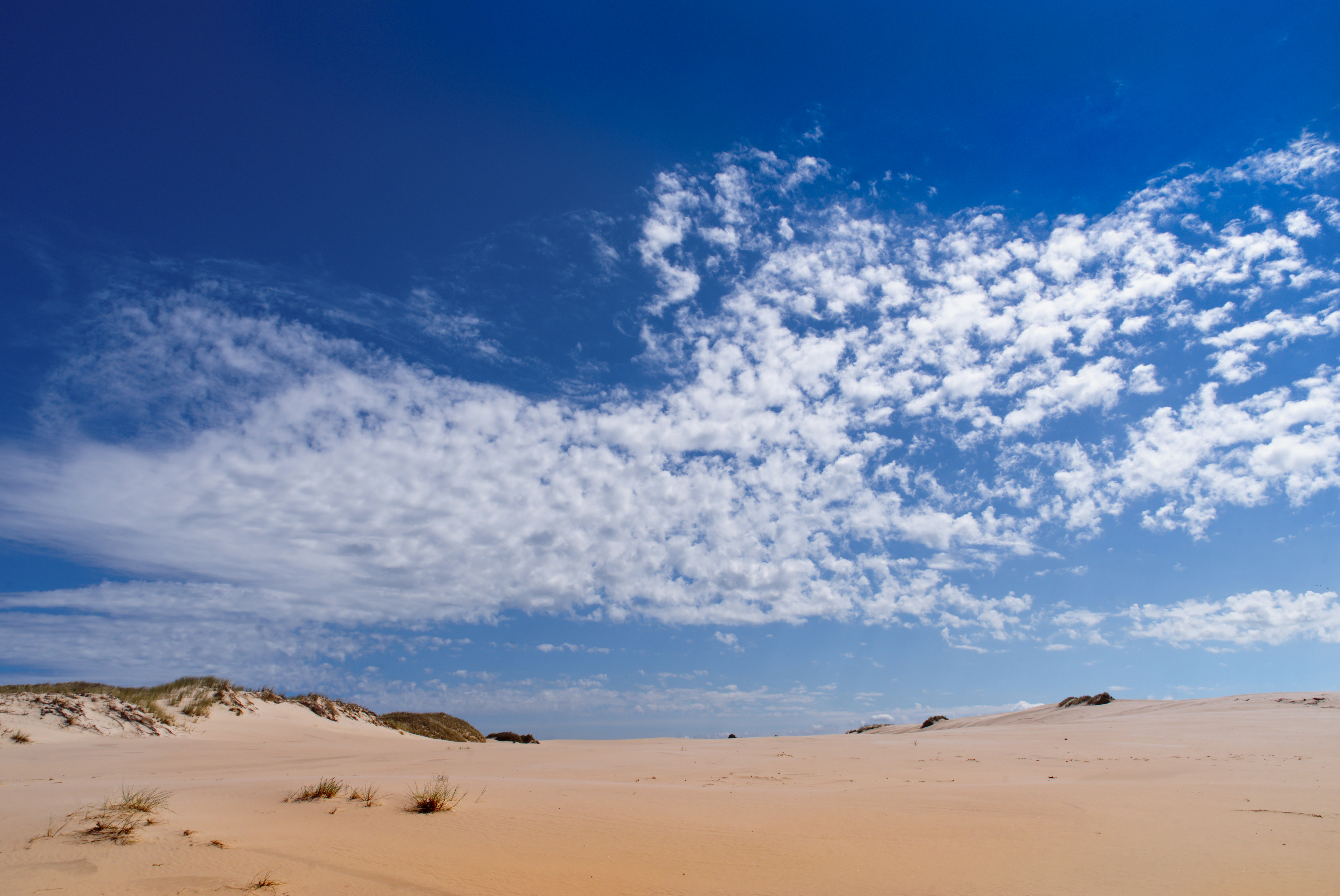 Fleecy clouds above desert dunes