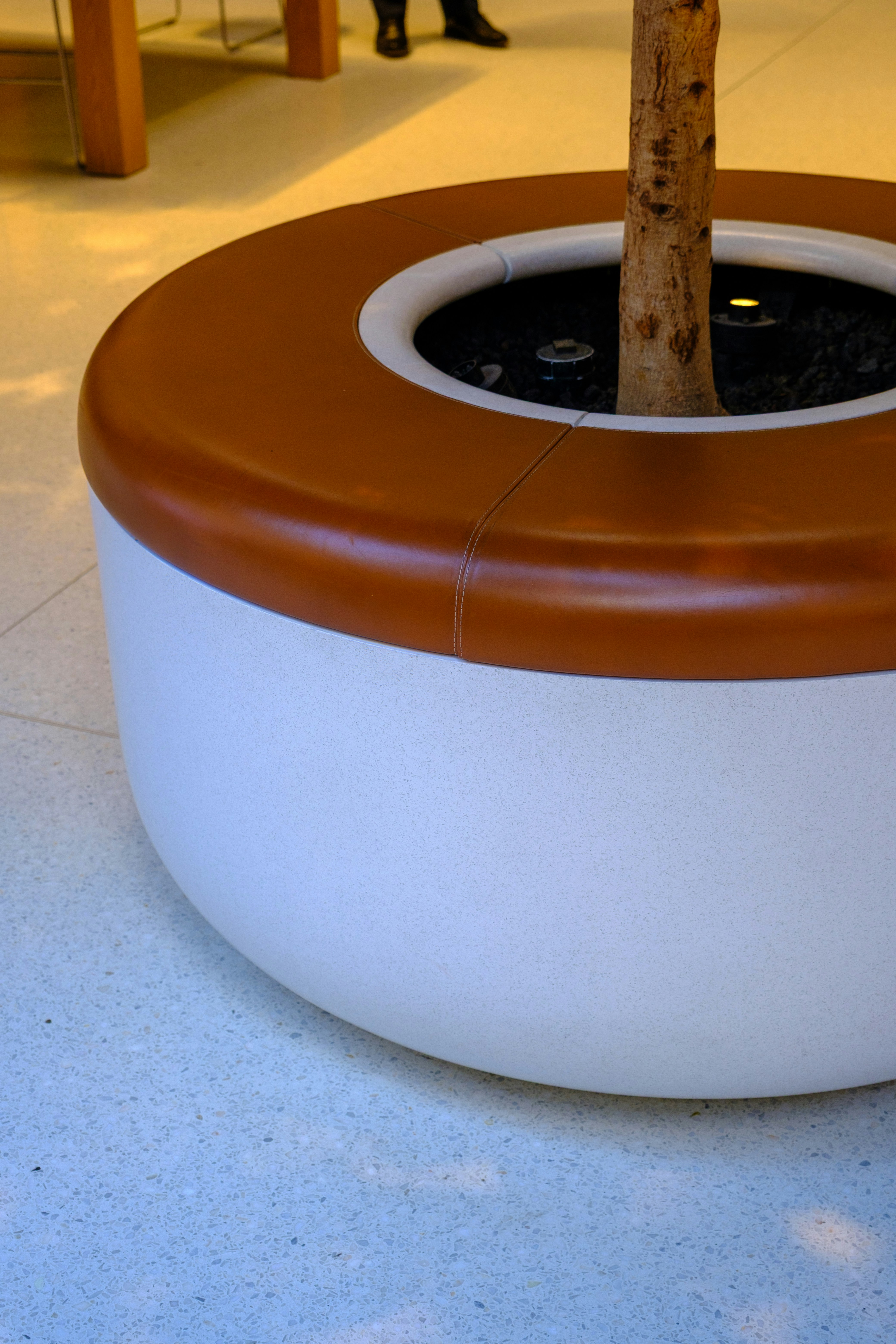 Urban planter ring: a circular leather-top masterpiece in a modern lobby