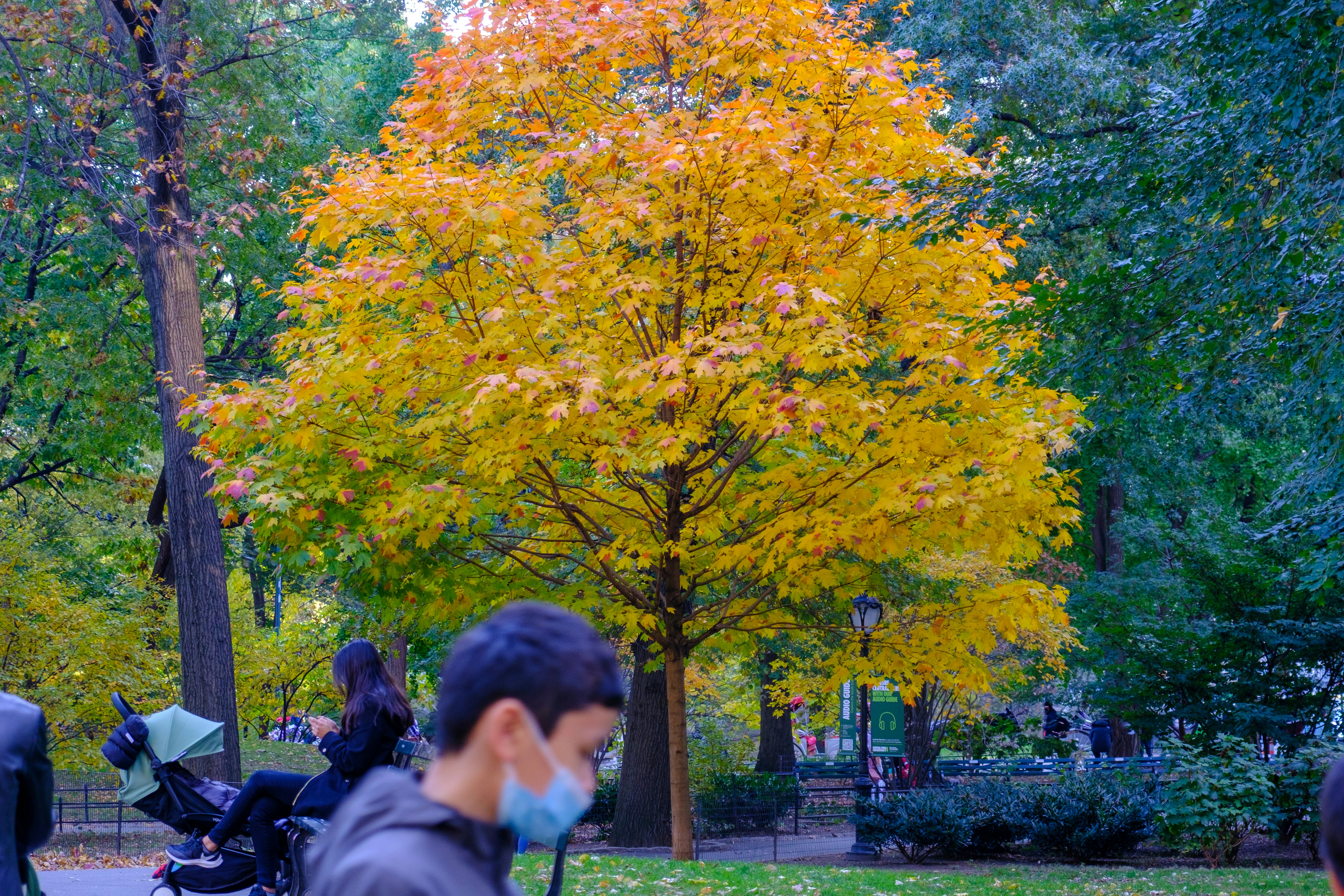 Autumn Park Scene with Passerby in Mask Fringe