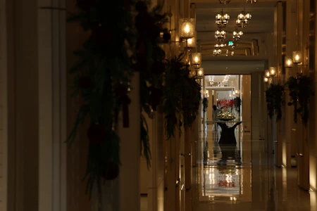 Silent Silhouette in a Golden Corridor