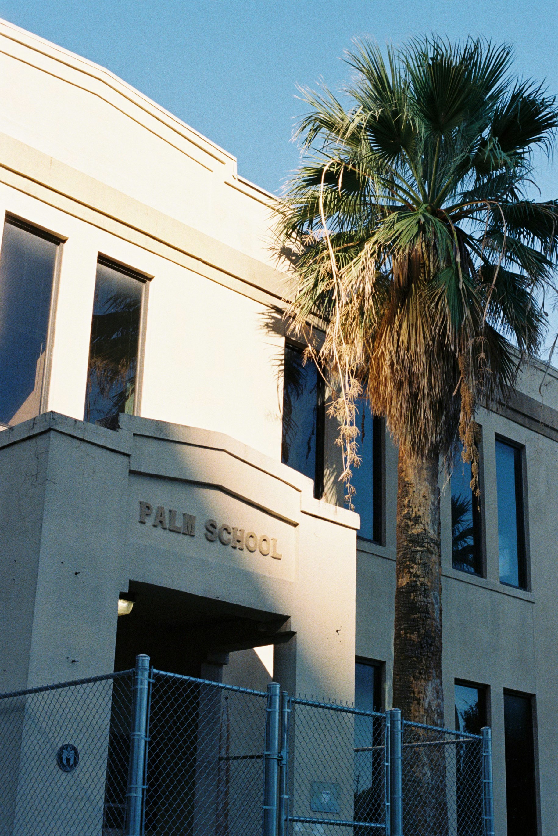 Palm school building with a tall palm tree. photo – Free Architecture ...