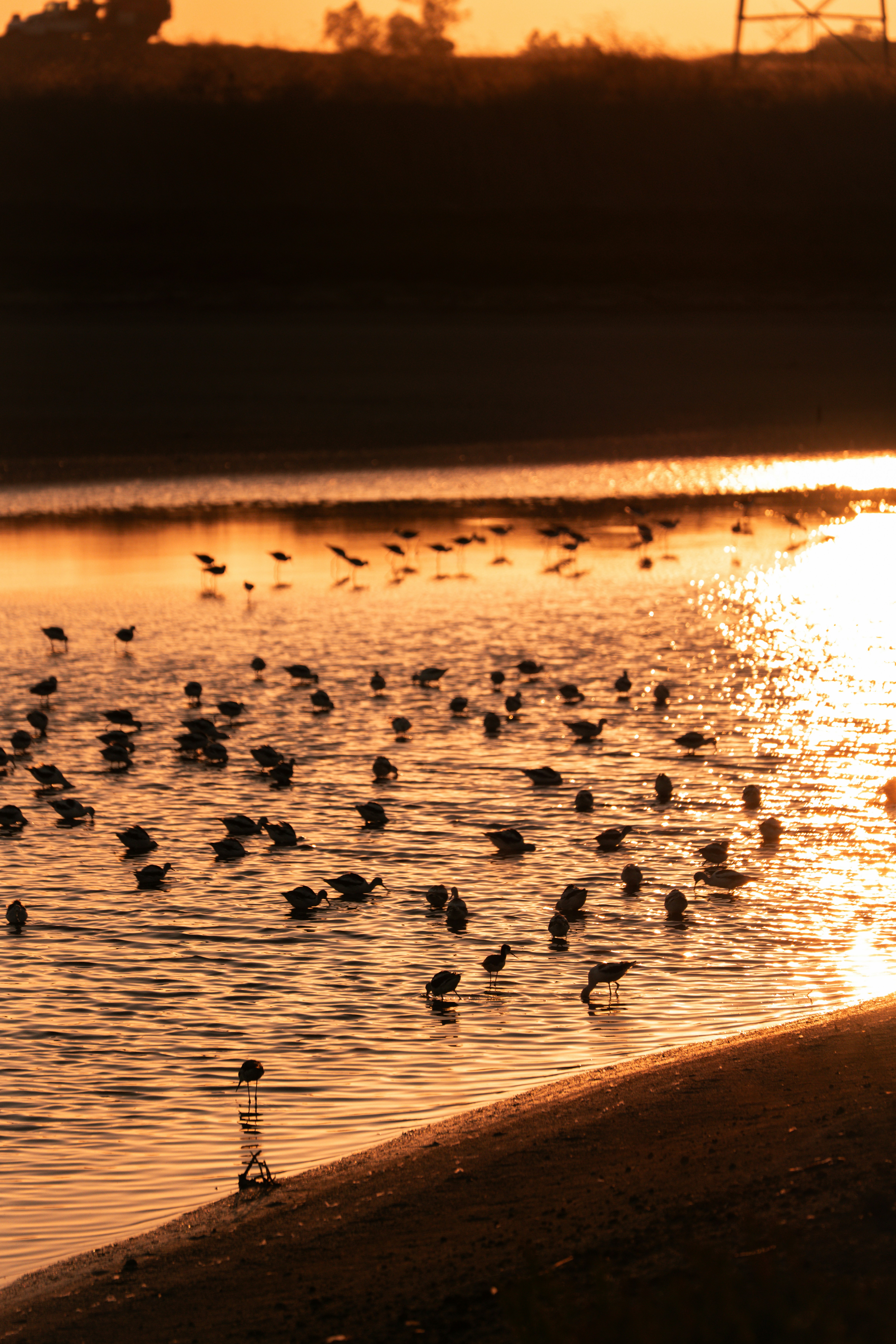 Photo by Sam Szuchan with Sony Alpha 7 IV