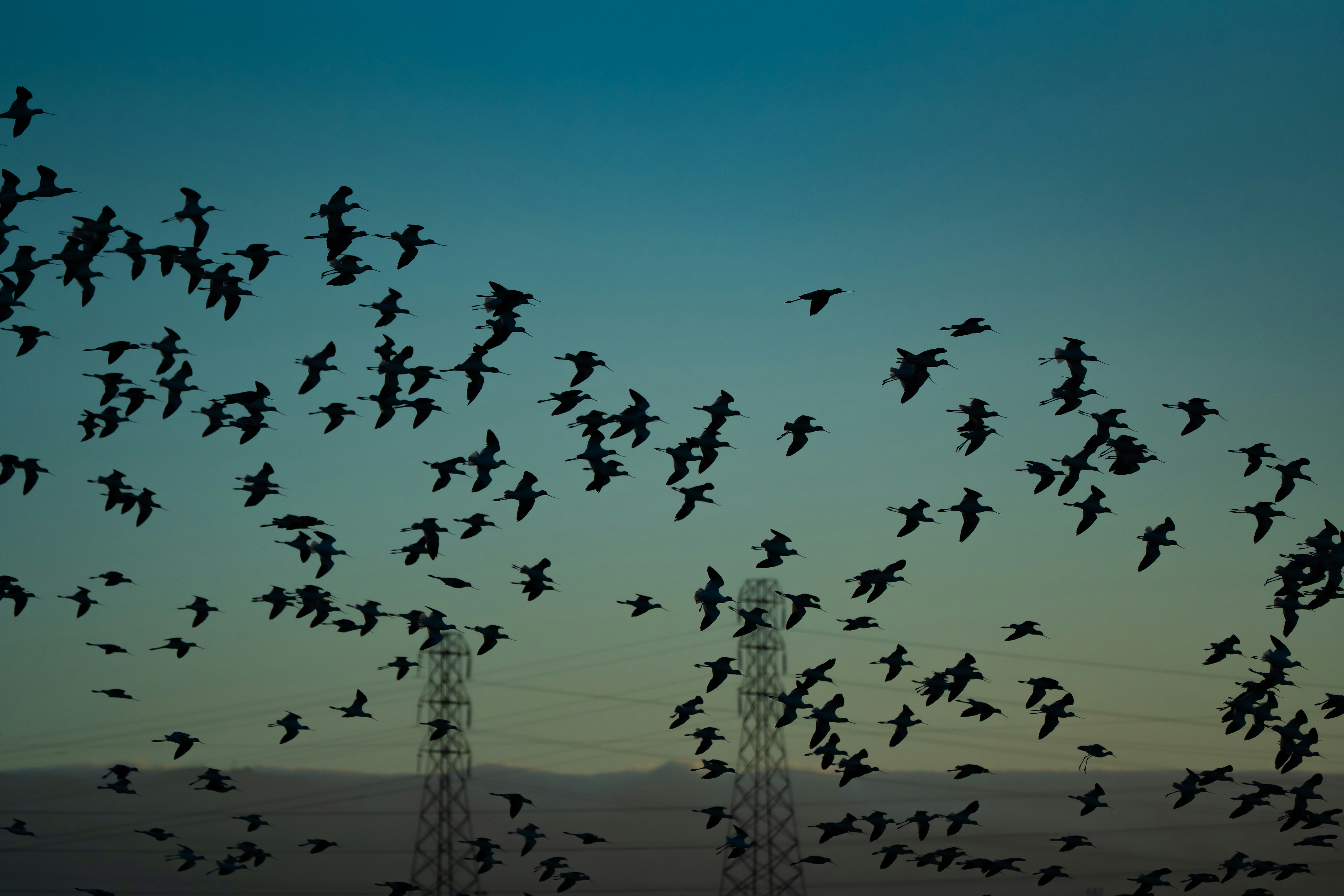 Photo by Sam Szuchan with Sony Alpha 7 IV