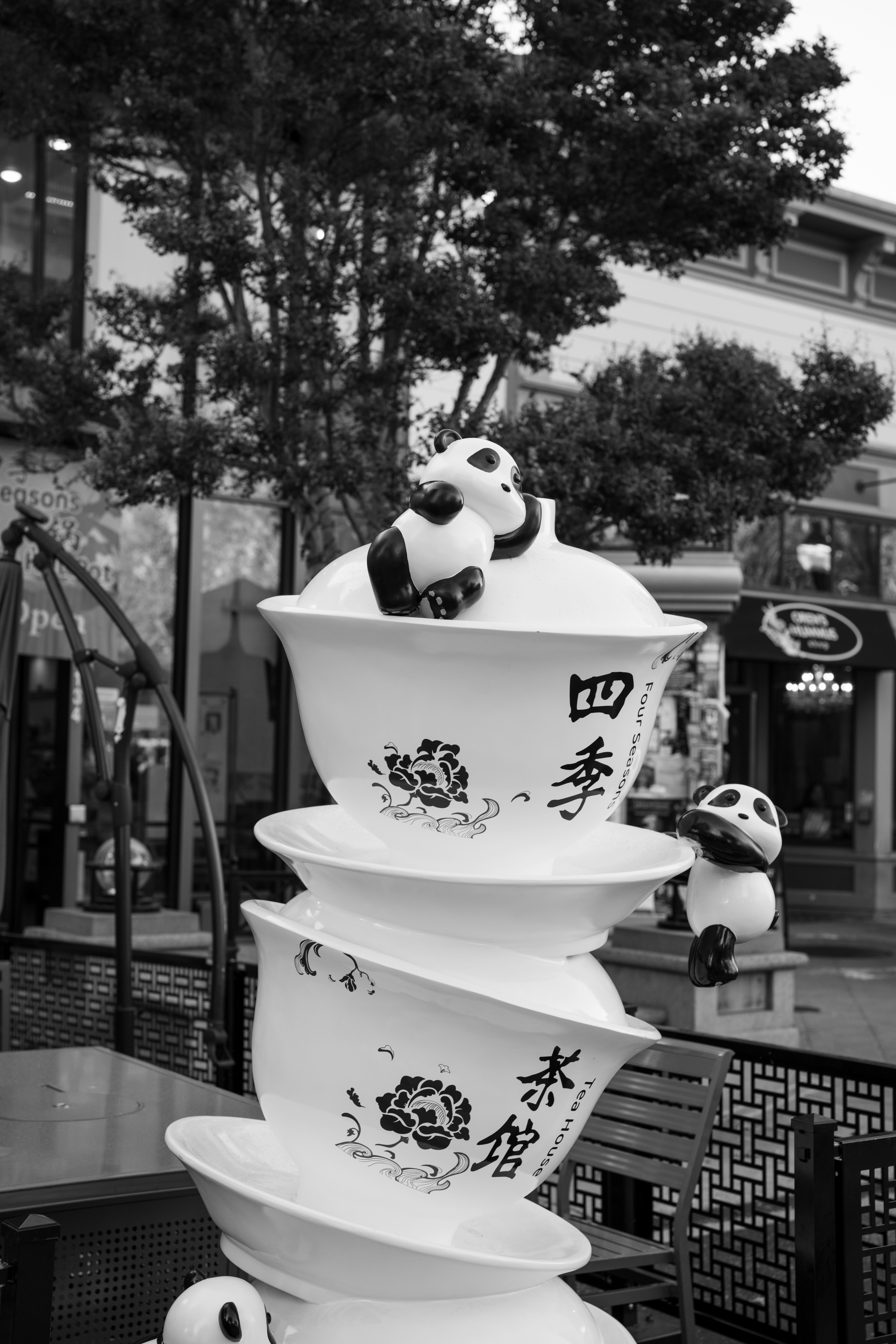 Photo by Sam Szuchan with Sony Alpha 7 IV