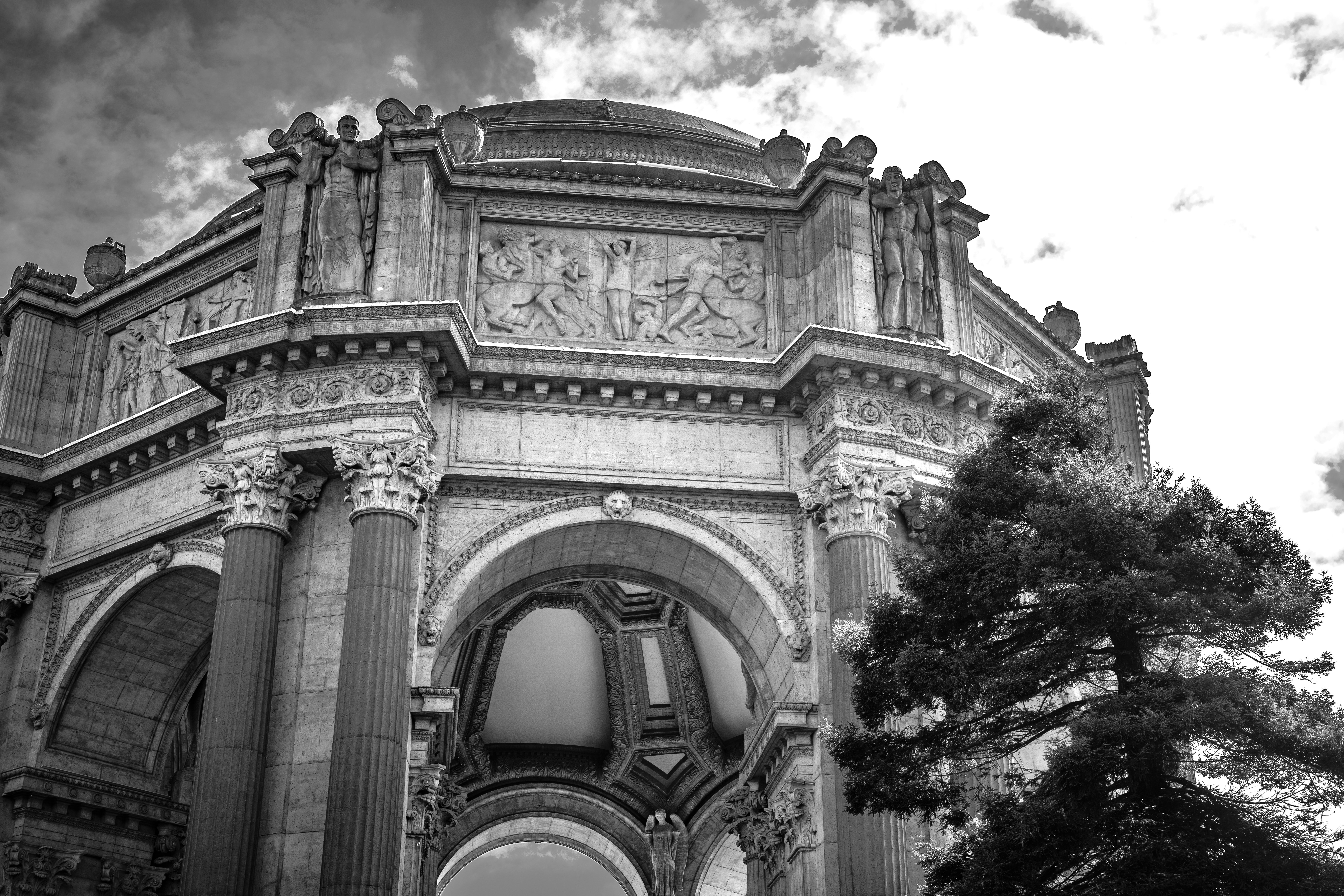 Photo by Sam Szuchan with Sony Alpha 7 IV