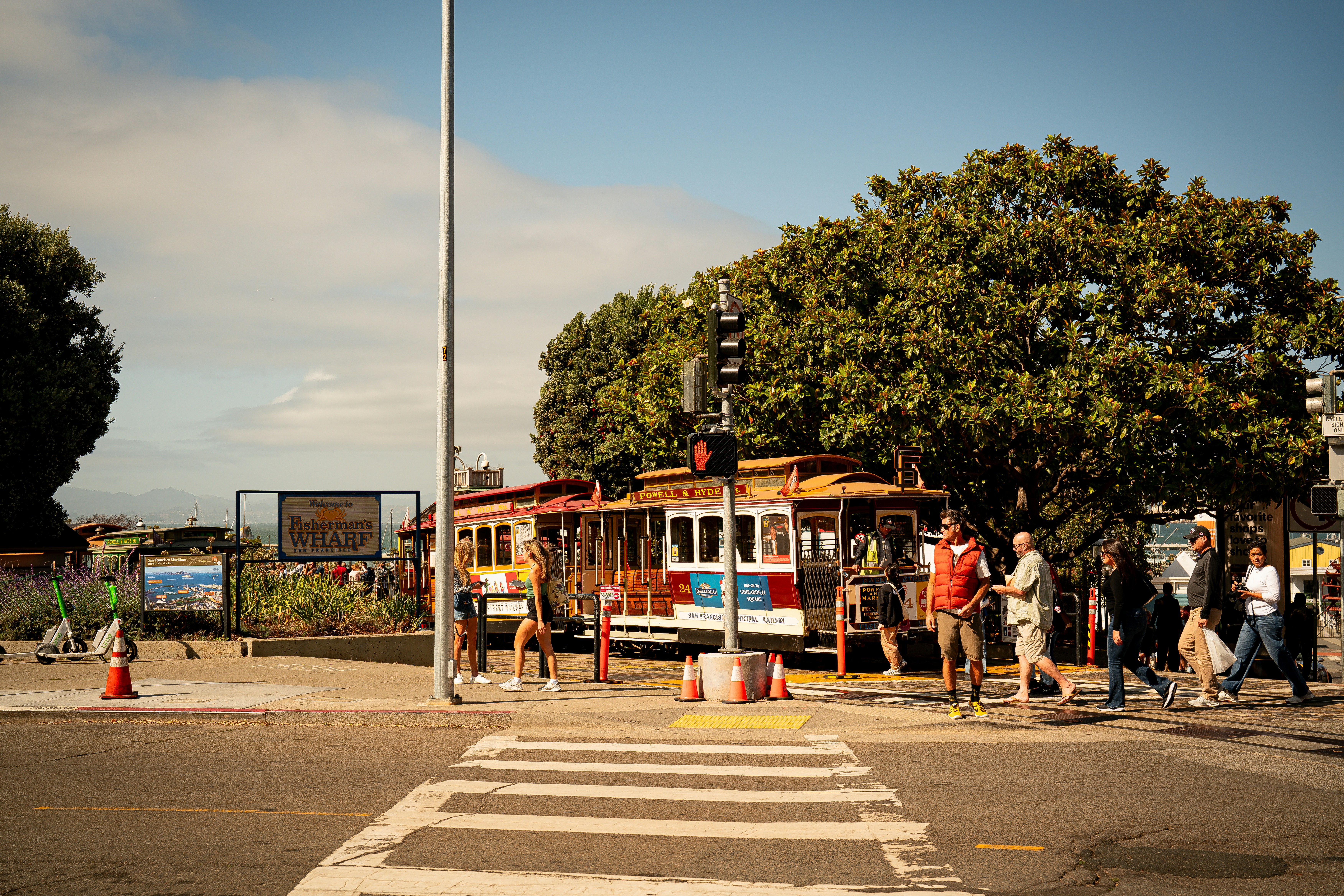 Crosswalk Convergence: A Transit Stop Amid Urban Calm