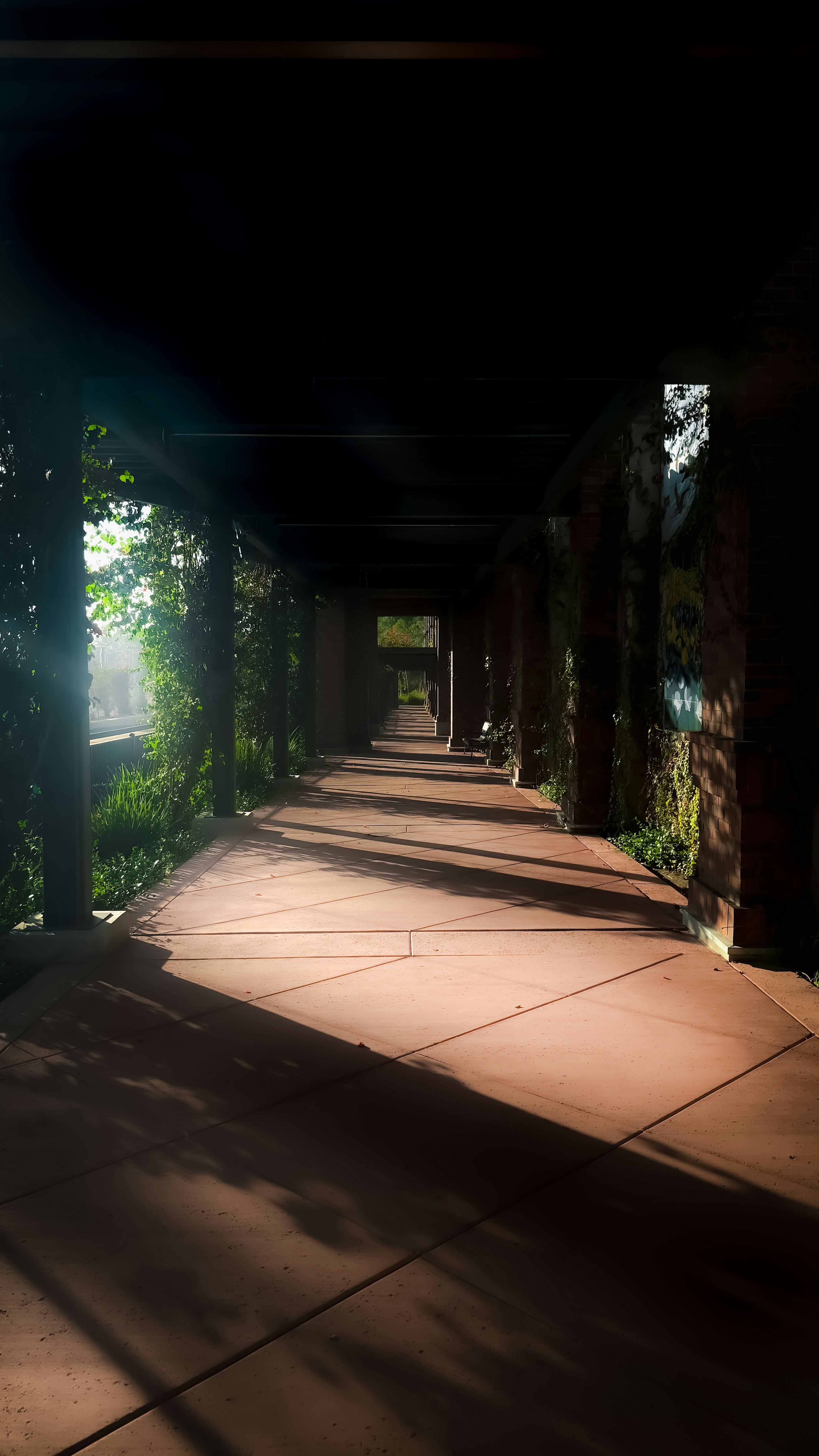 Shadowed Corridor of Light along a Sunlit Walkway