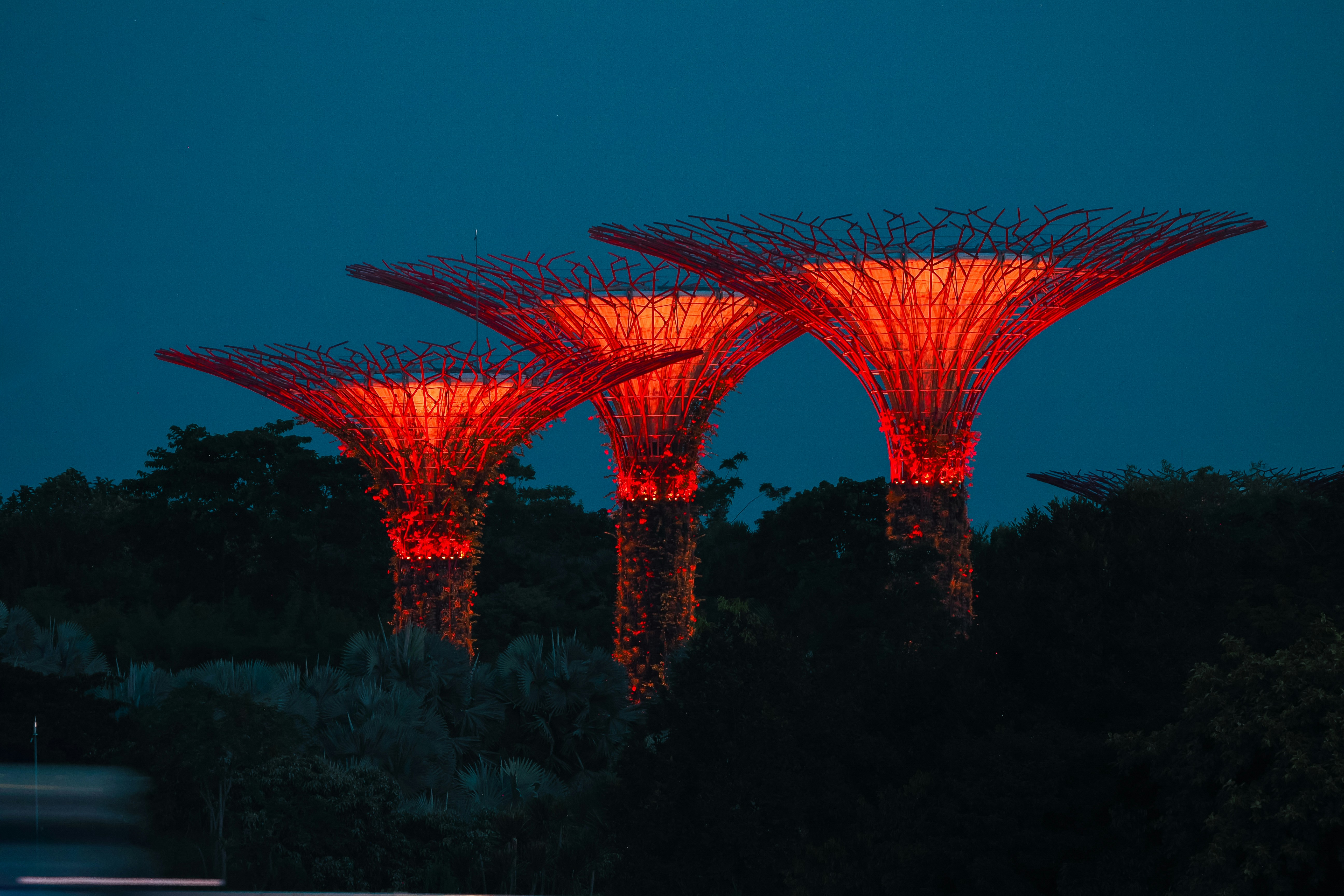super tree at garden by the bay - blue hour