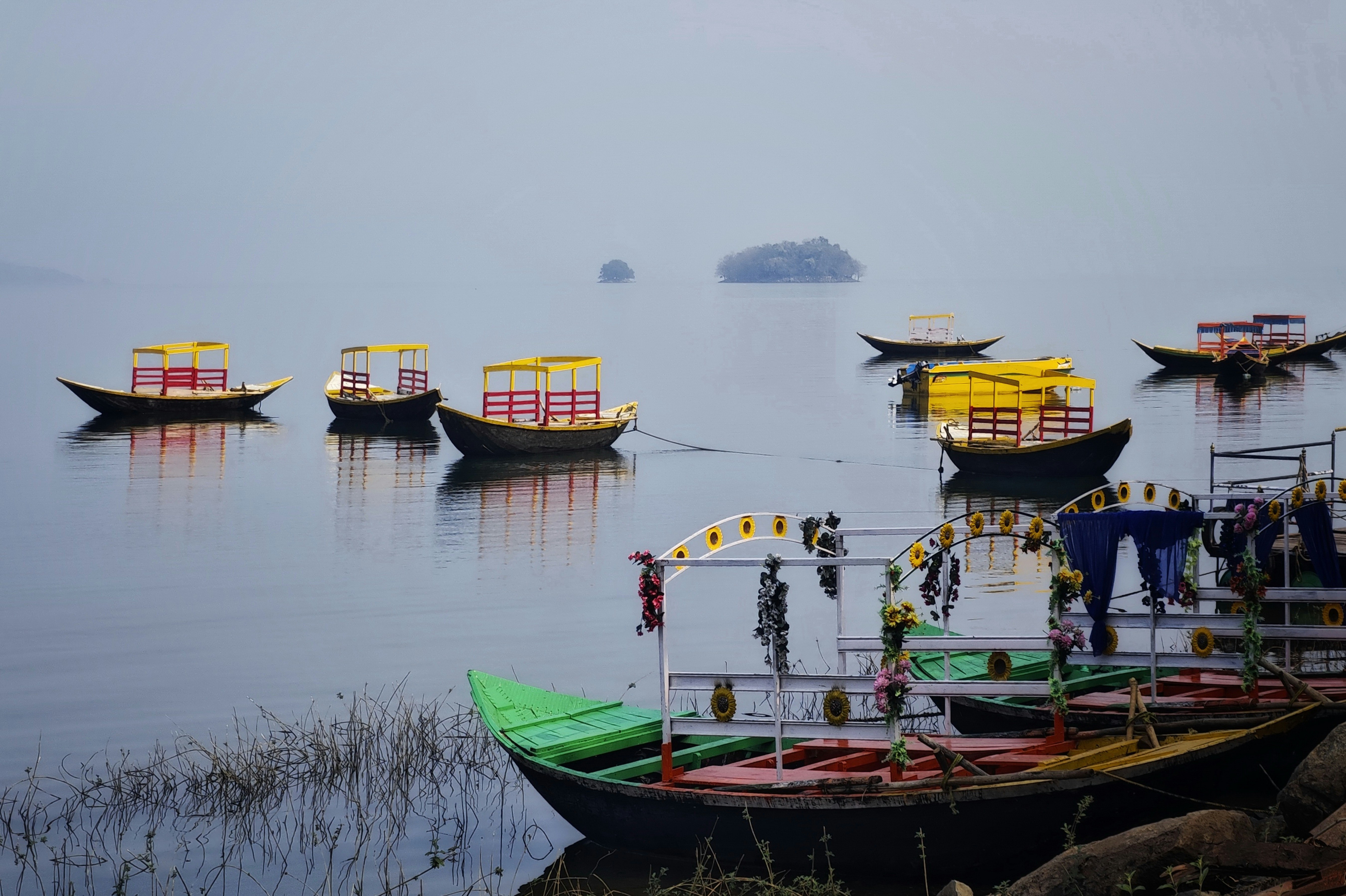 Photo by Dibakar Roy with Xiaomi 13 Pro