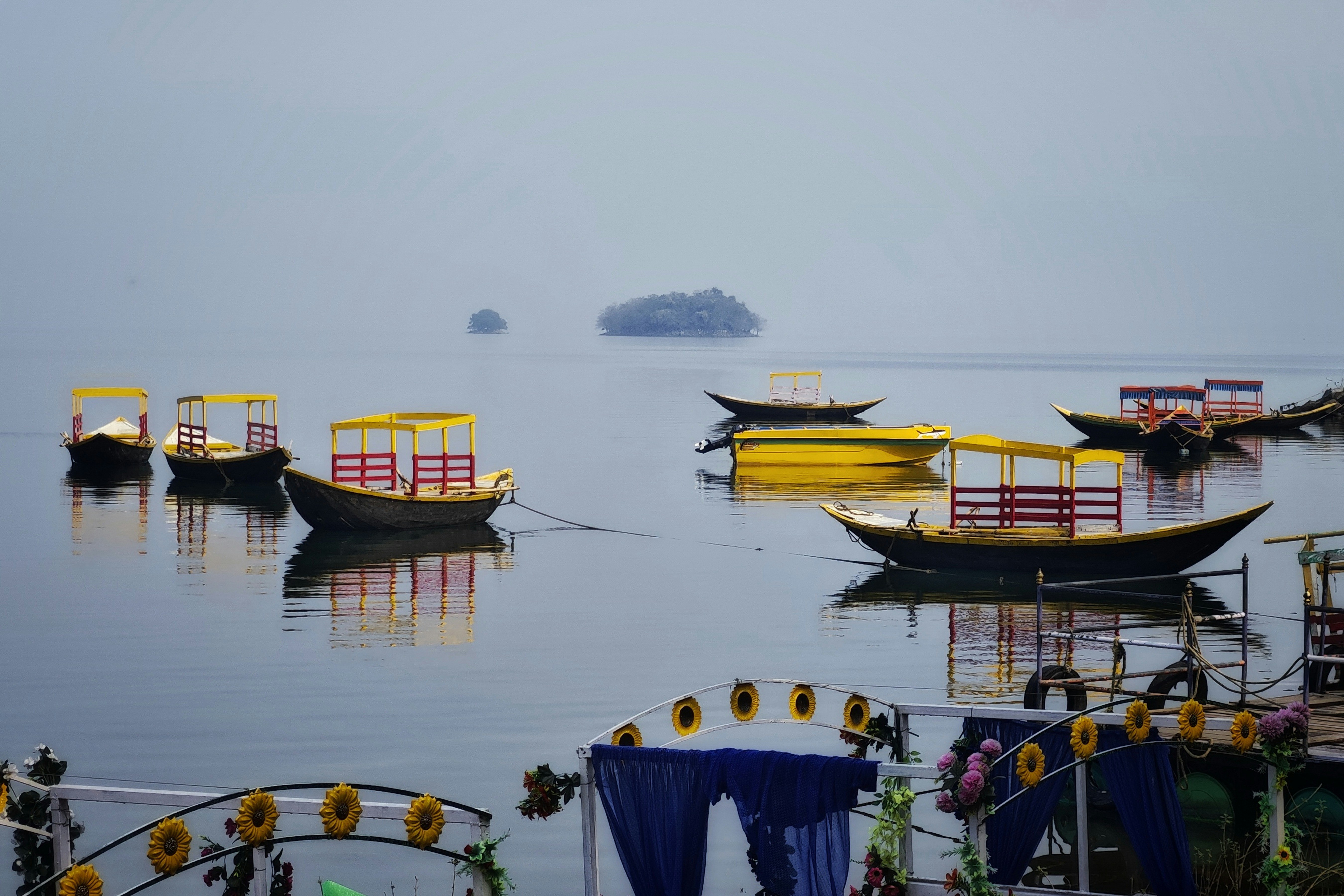 Yellow boats at calm harbor under soft morning light