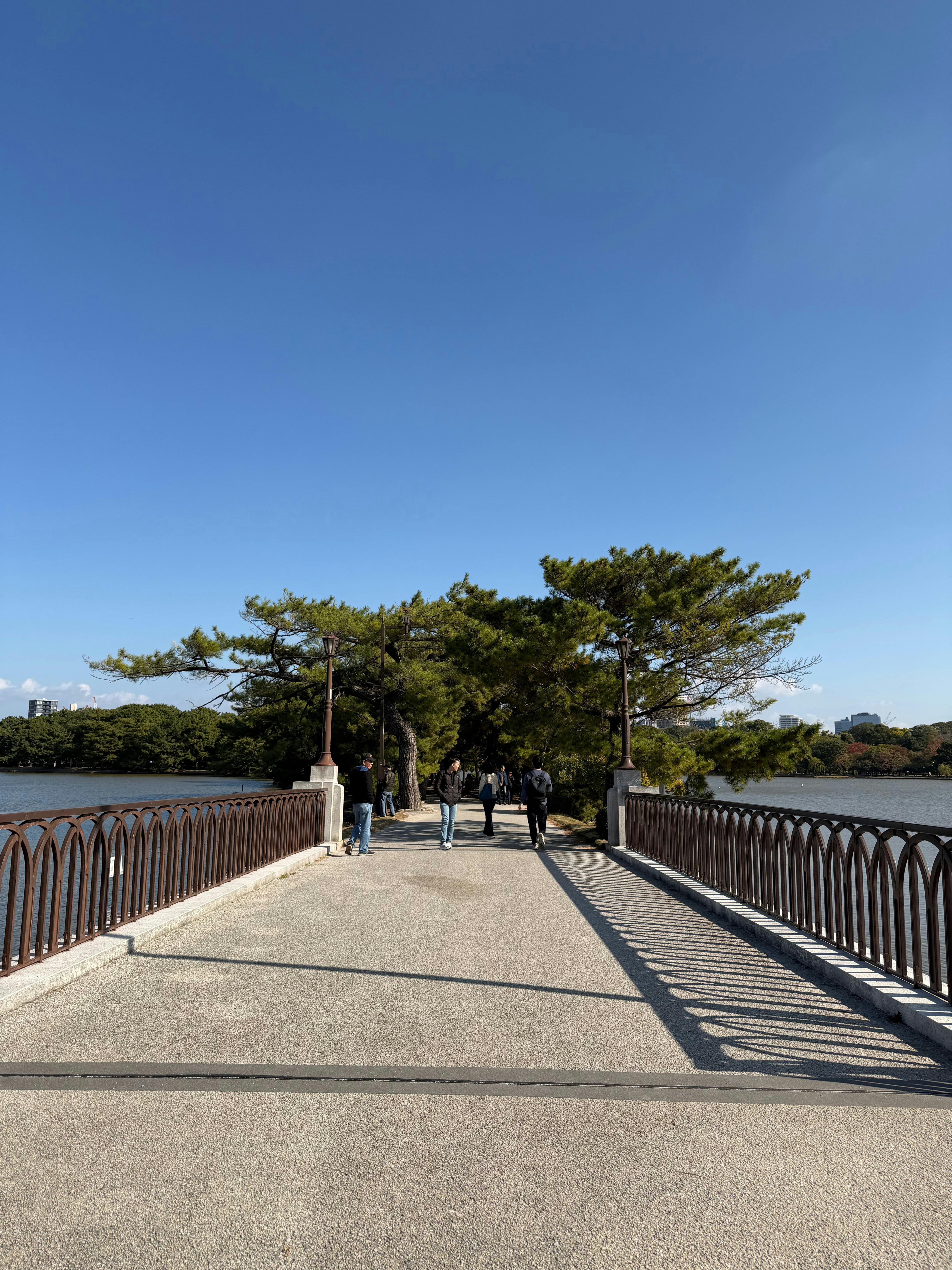 A Promenade to the Island Pines