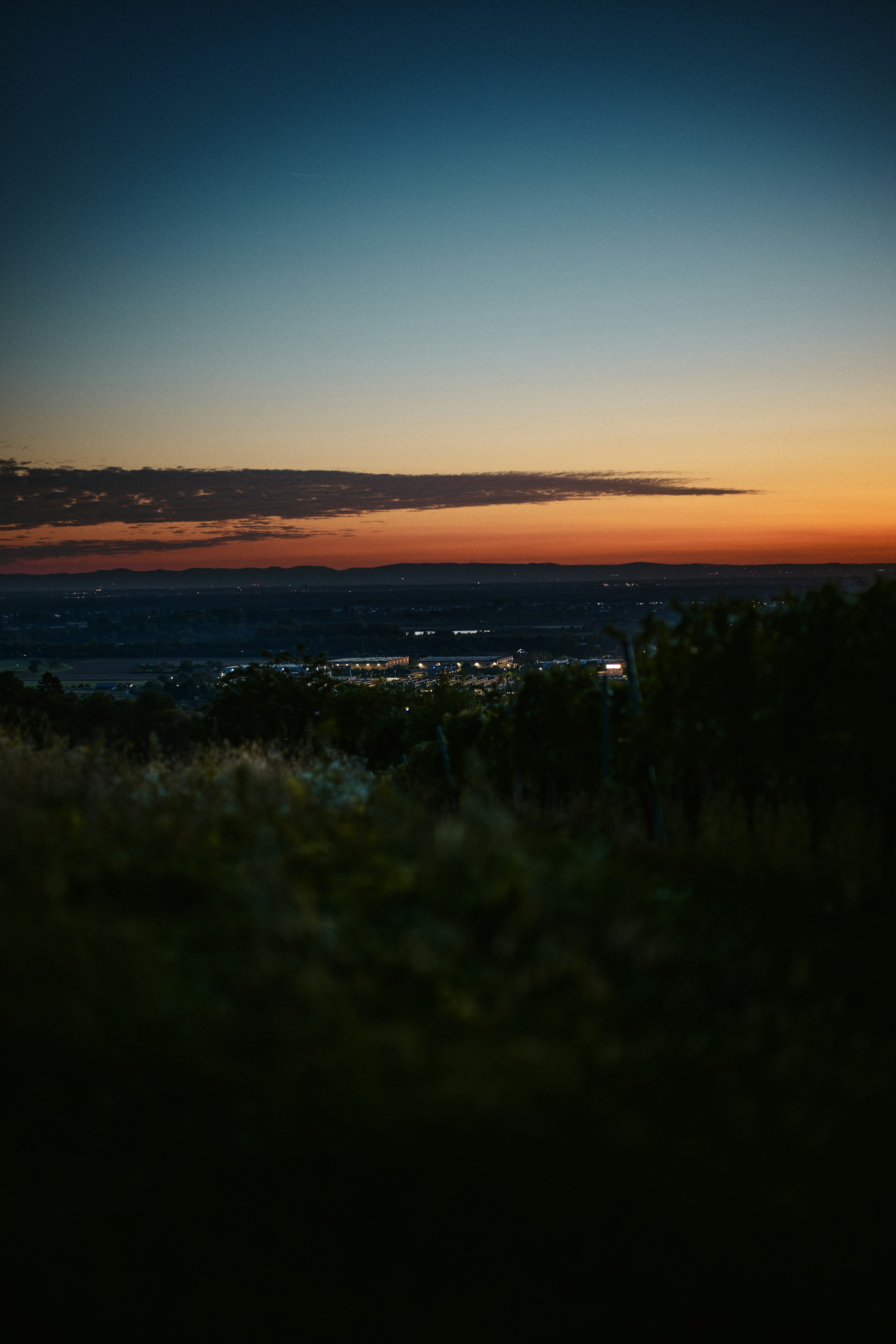 Photo by Philipp Degenhardt with Nikon Z9