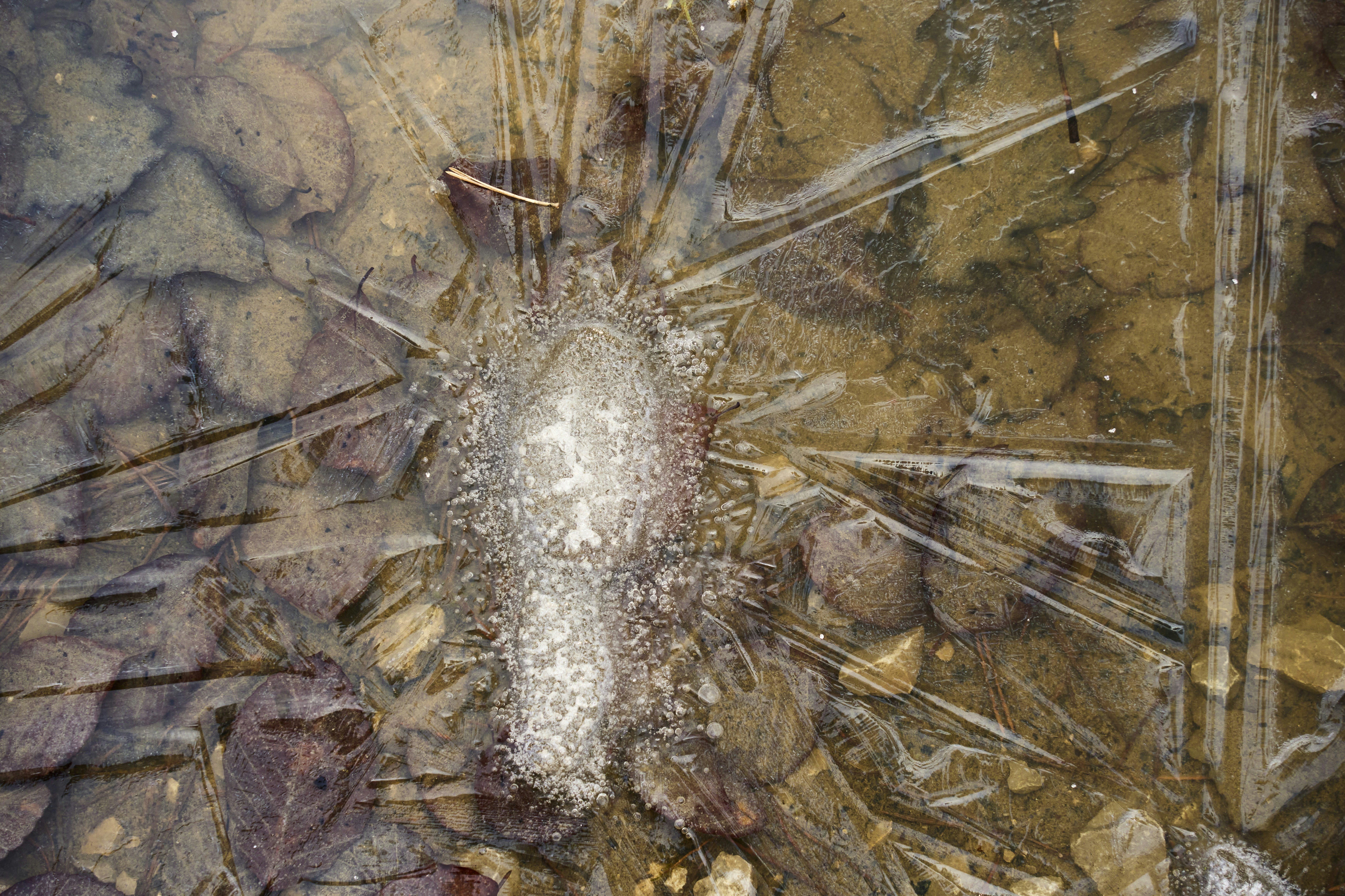 Icy Residue on a Pebble Bed: A Close-Up of Frozen Specimen