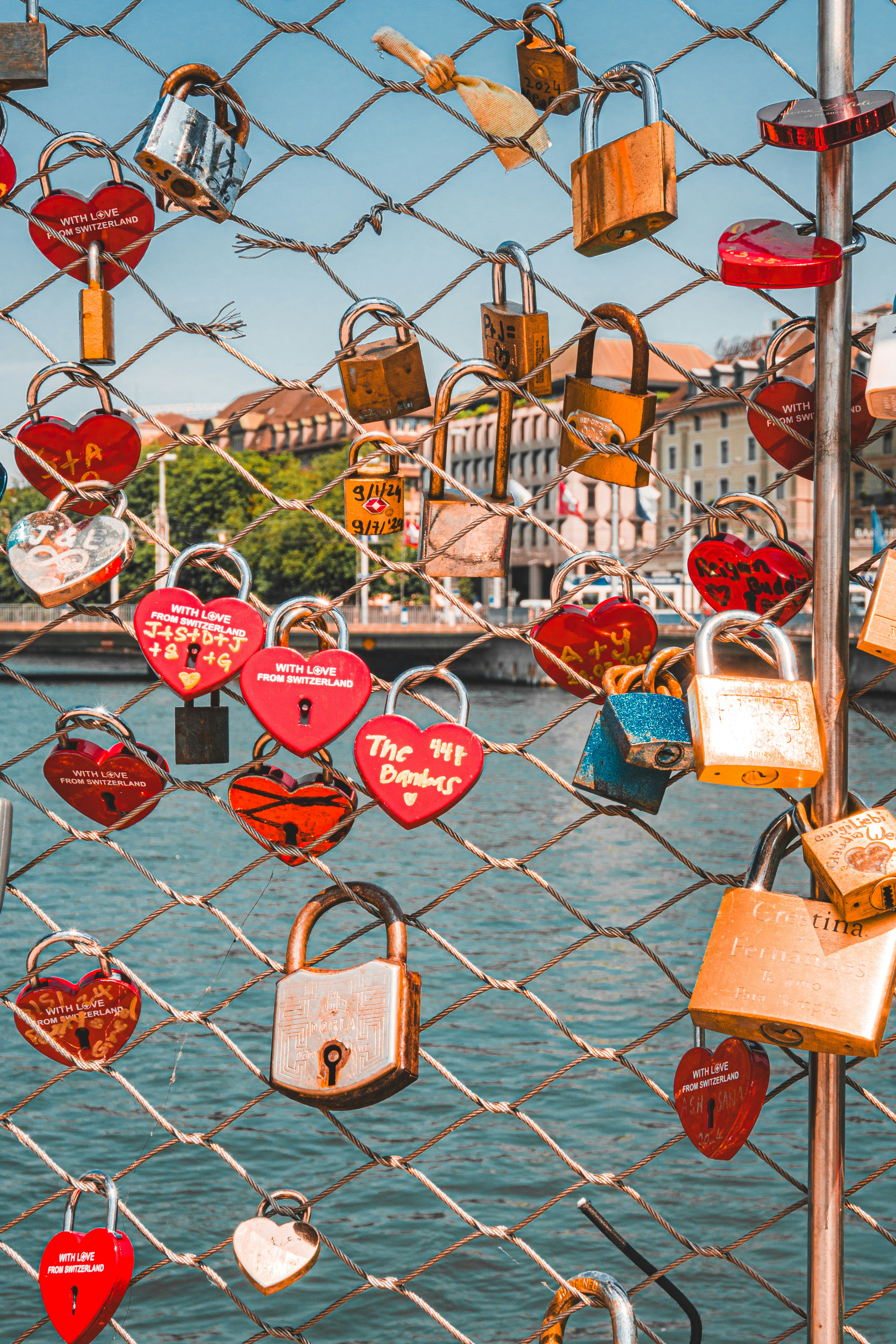 Locks of Color: A Waterfront Canvas of Love Locks on Chain-link