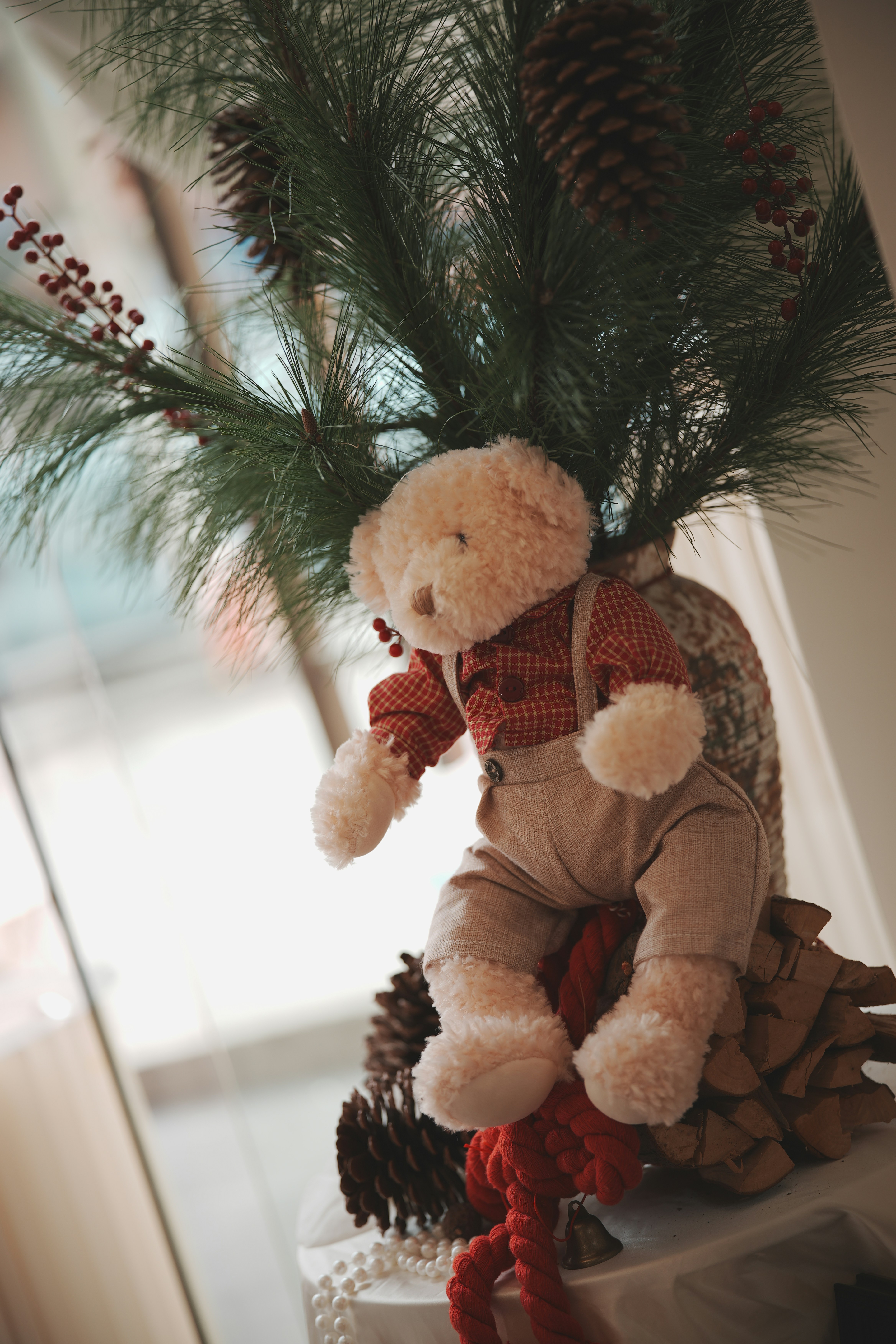 Photo by 光术 山影 with Sony Alpha 7 V