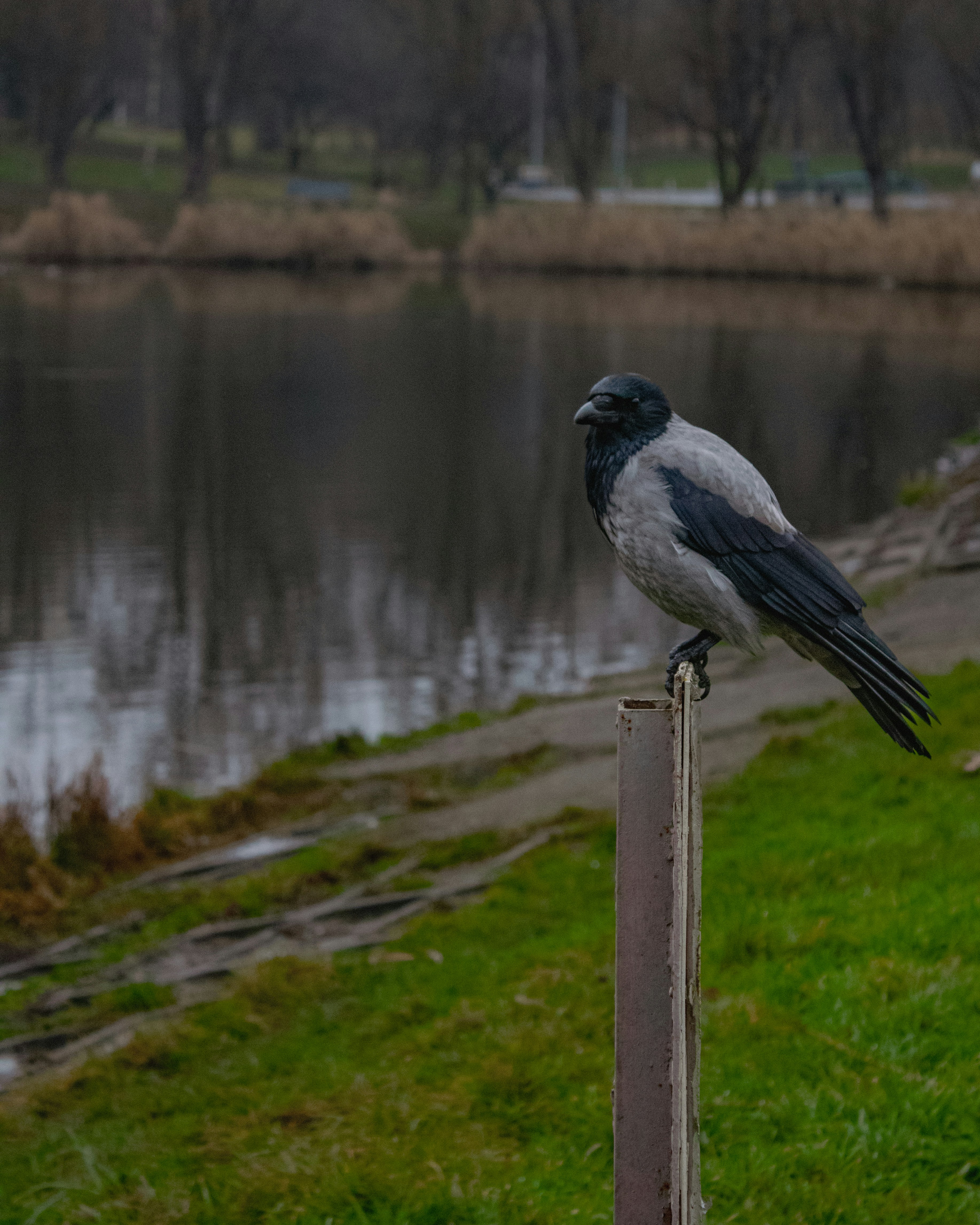 Photo by yan kolesnyk with Canon EOS 2000D