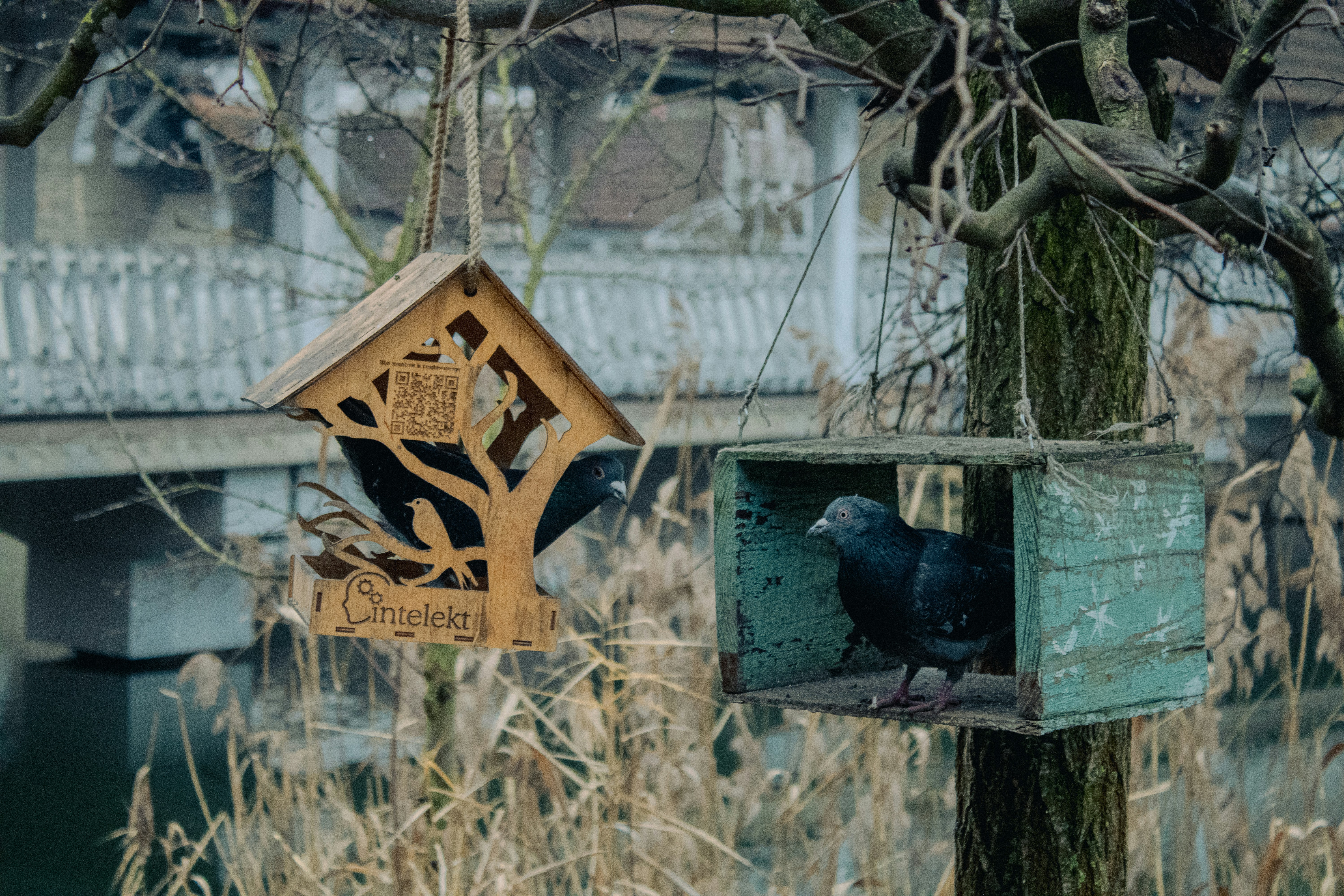 Photo by yan kolesnyk with Canon EOS 2000D