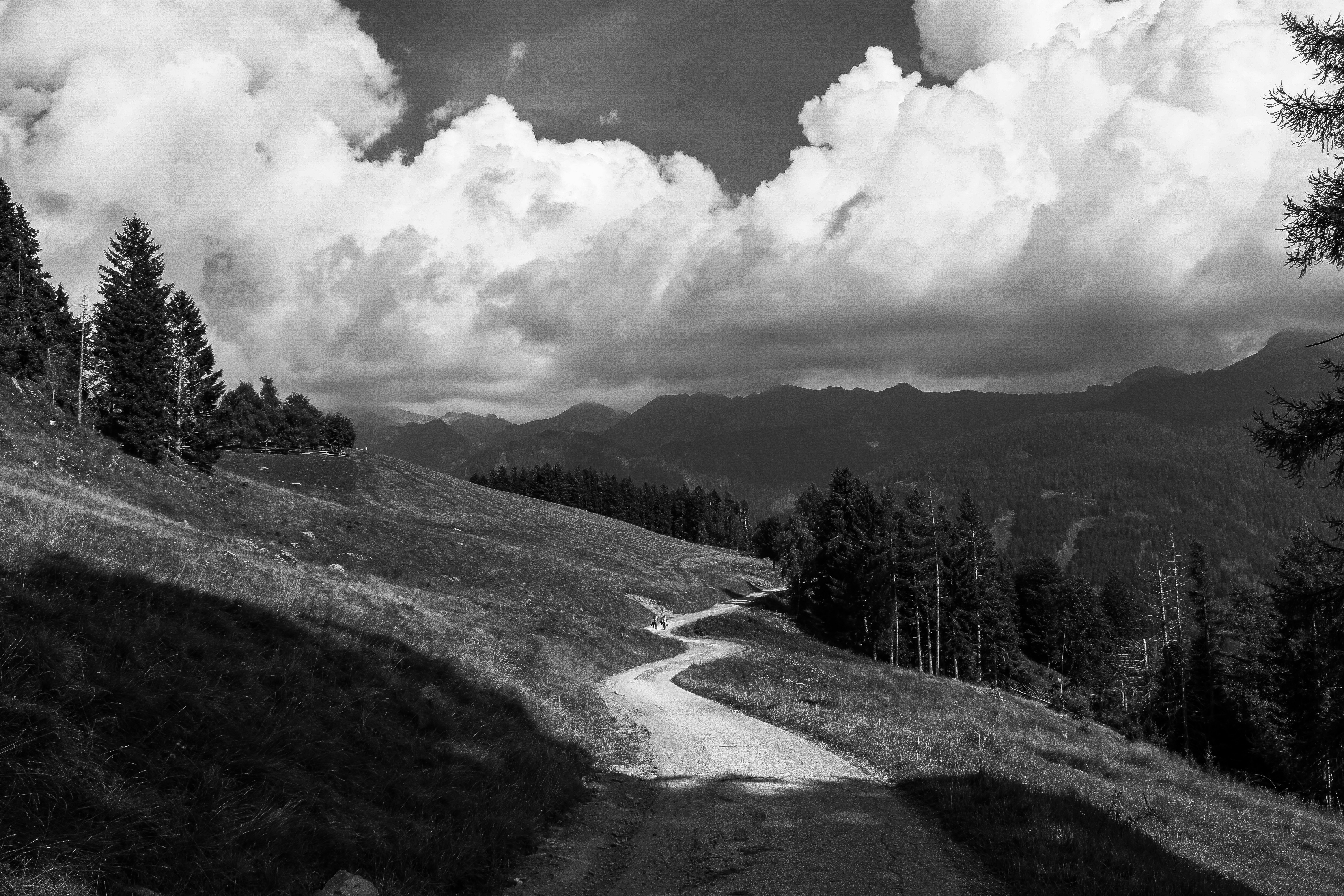 Winding Path Through a Misty Mountain Meadow