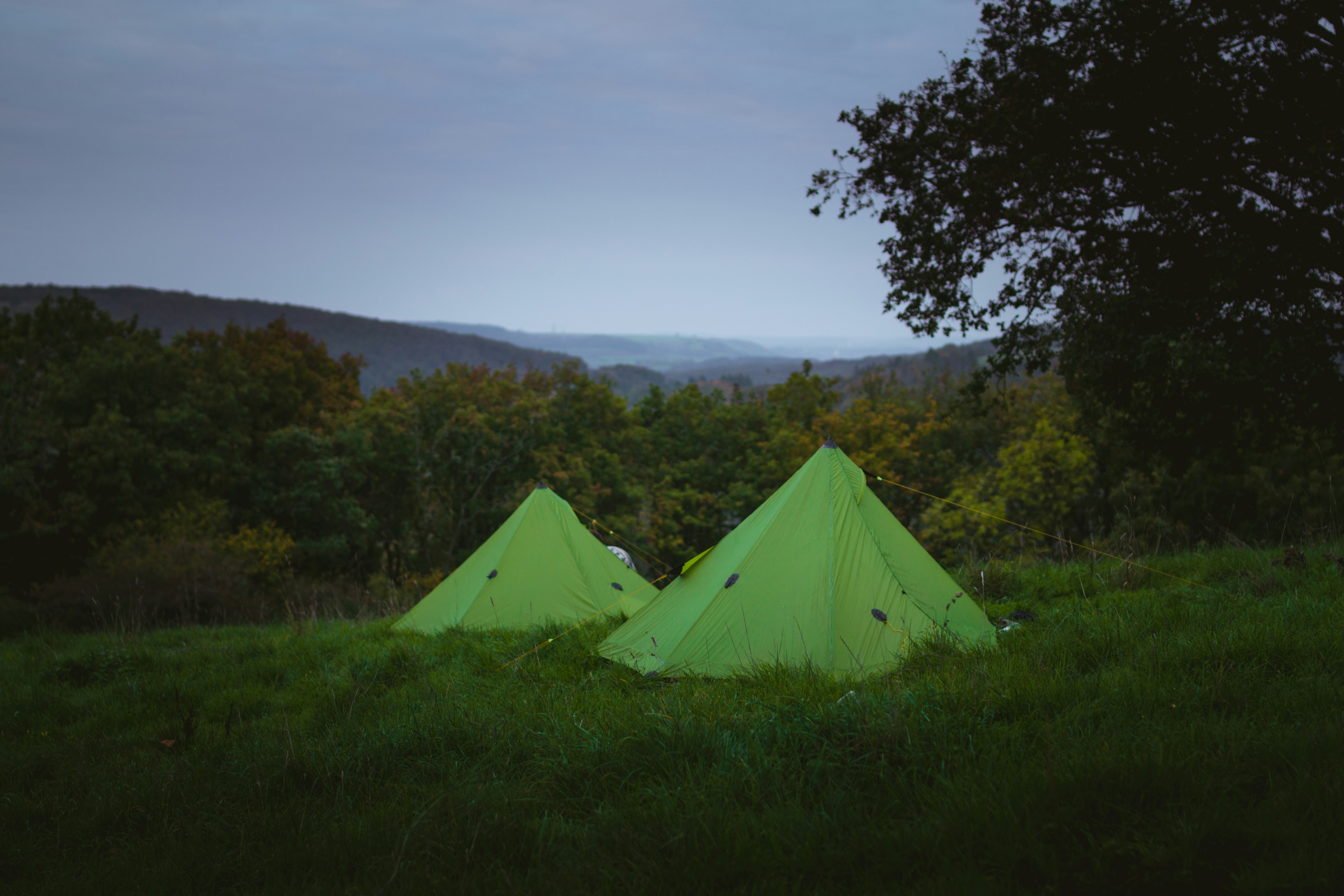 Photo by Eric van Dijk with Sony Alpha 6000